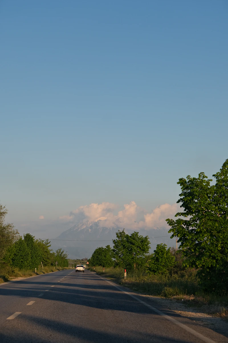 Long Road to the Snow-Capped Horizon