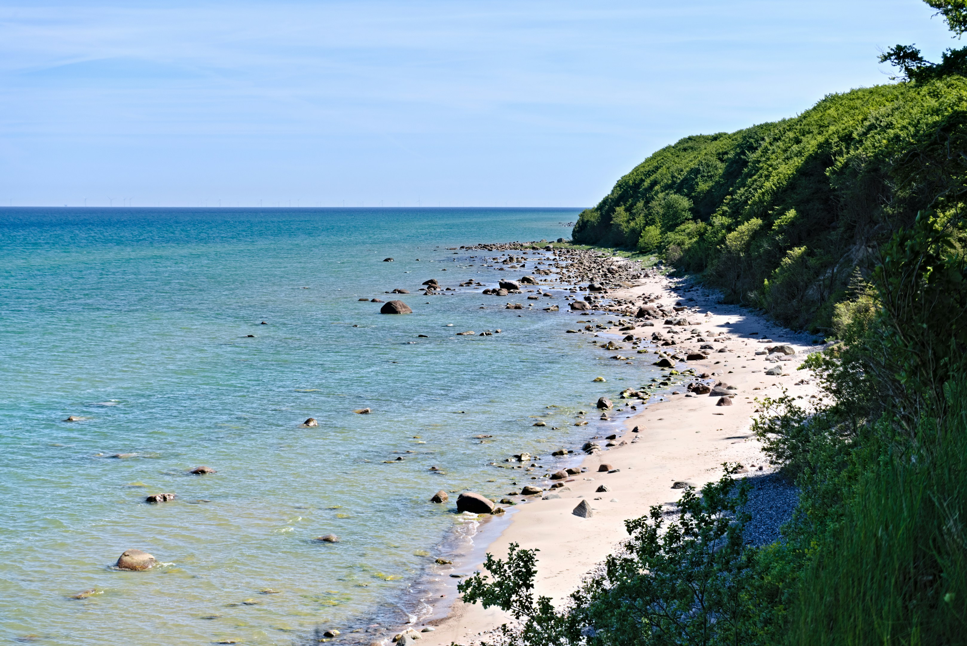Sunlit shoreline beneath a verdant cliff