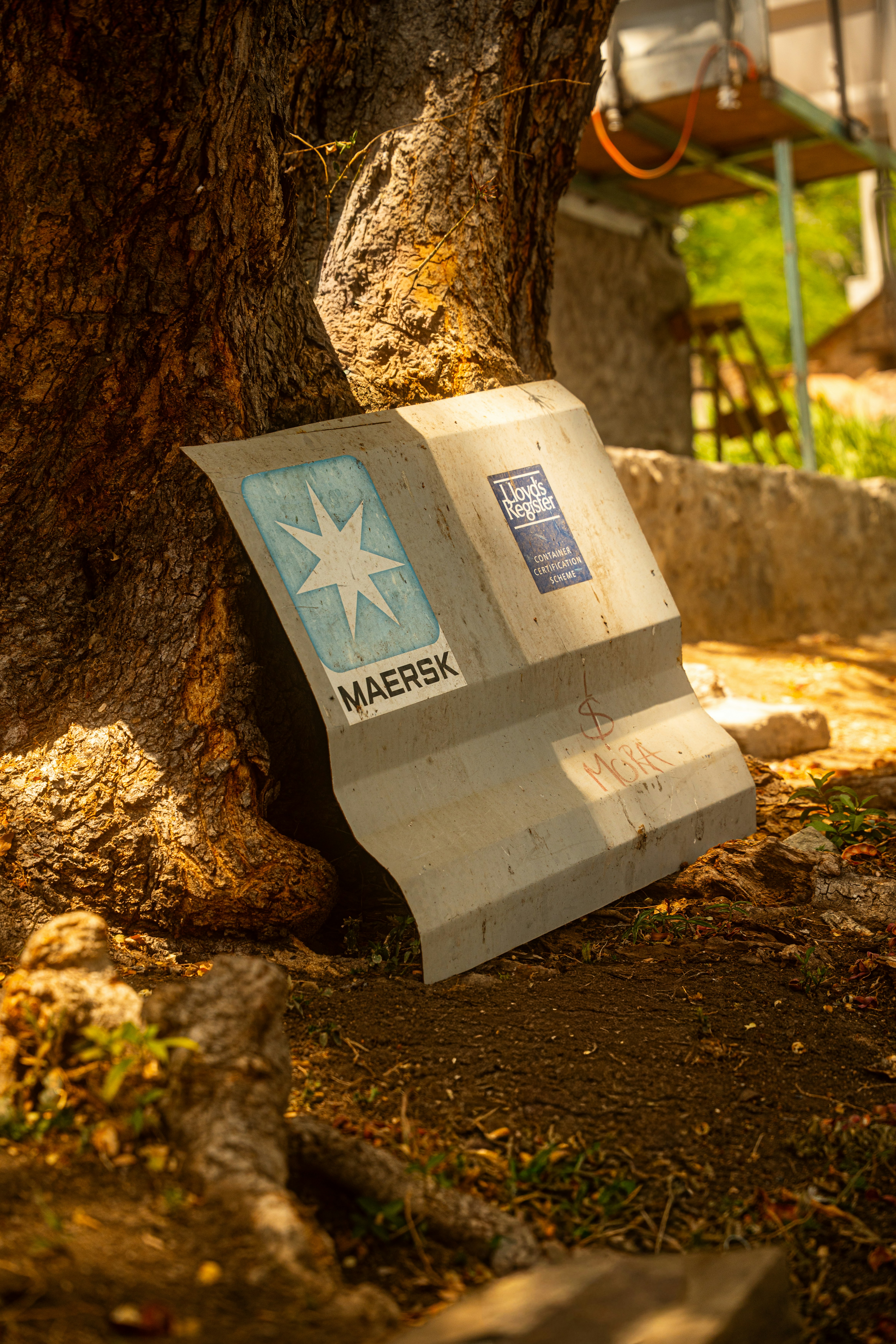 Graffiti Shelter: Maersk Crate Cushioned by a Tree