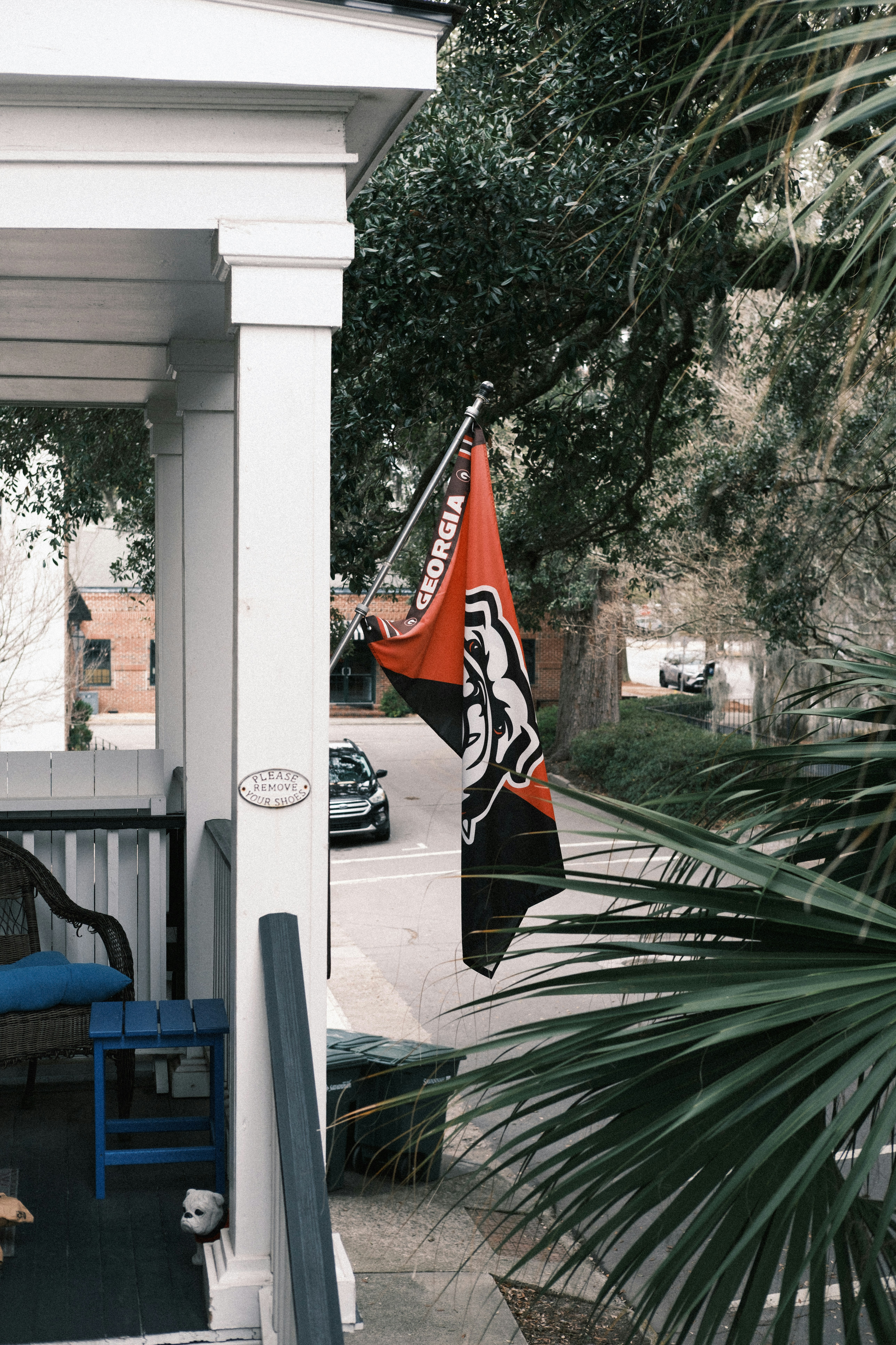Flagpole Mystery: A Crimson Banner Between Porch and Palm Fronds
