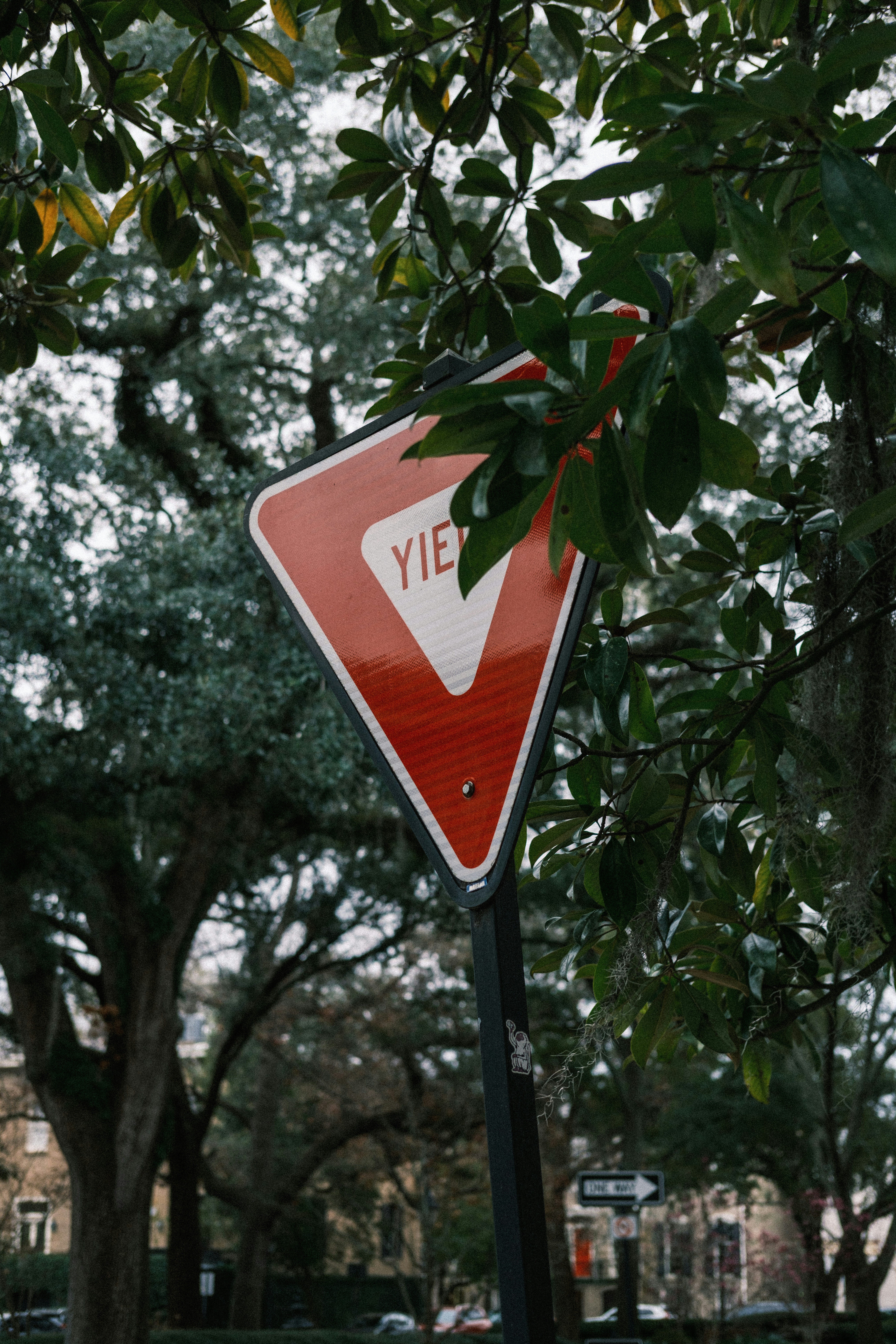 A red yield sign partially obscured by green leaves.