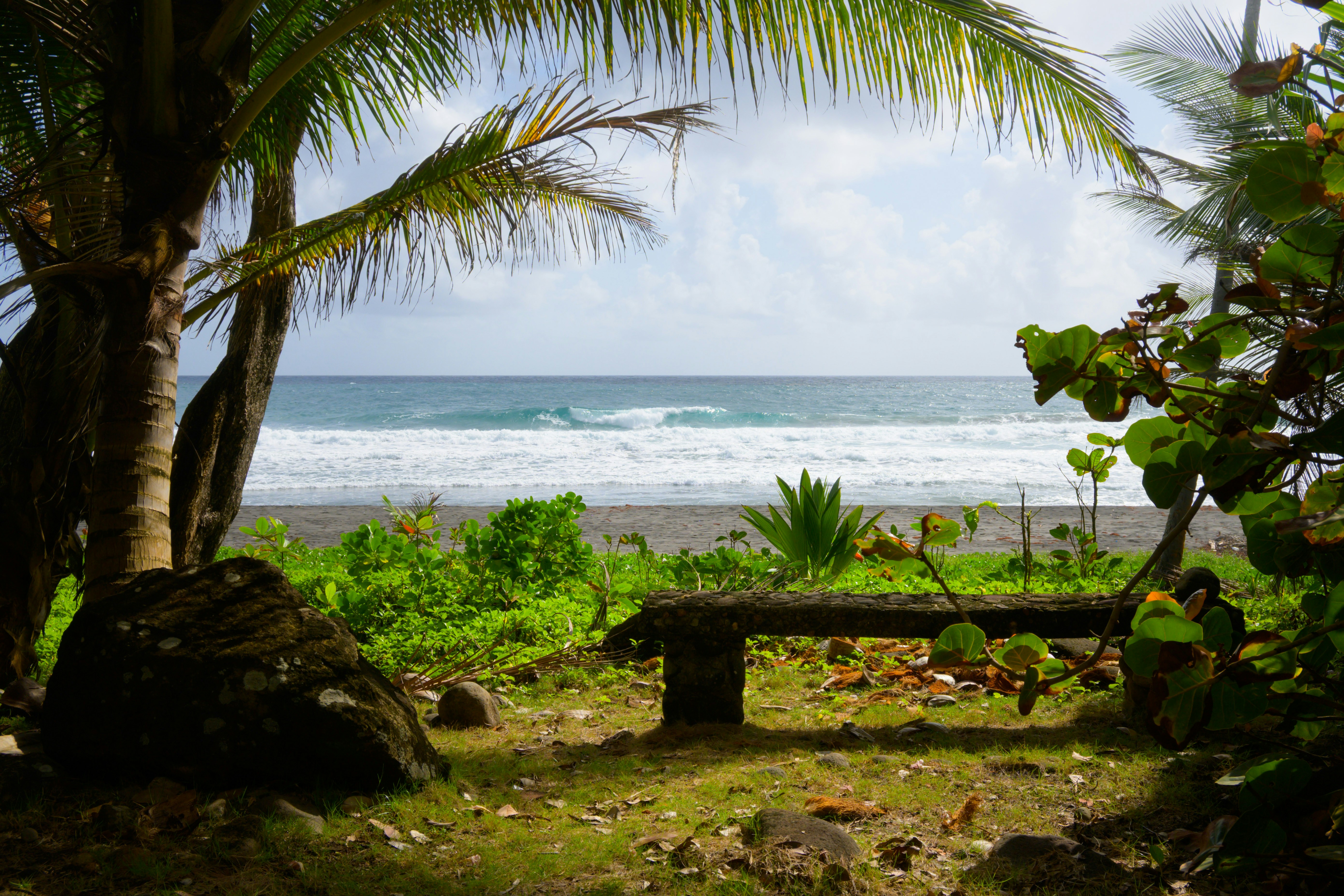 Tropical beach view with stone bench, palm trees, and ocean.