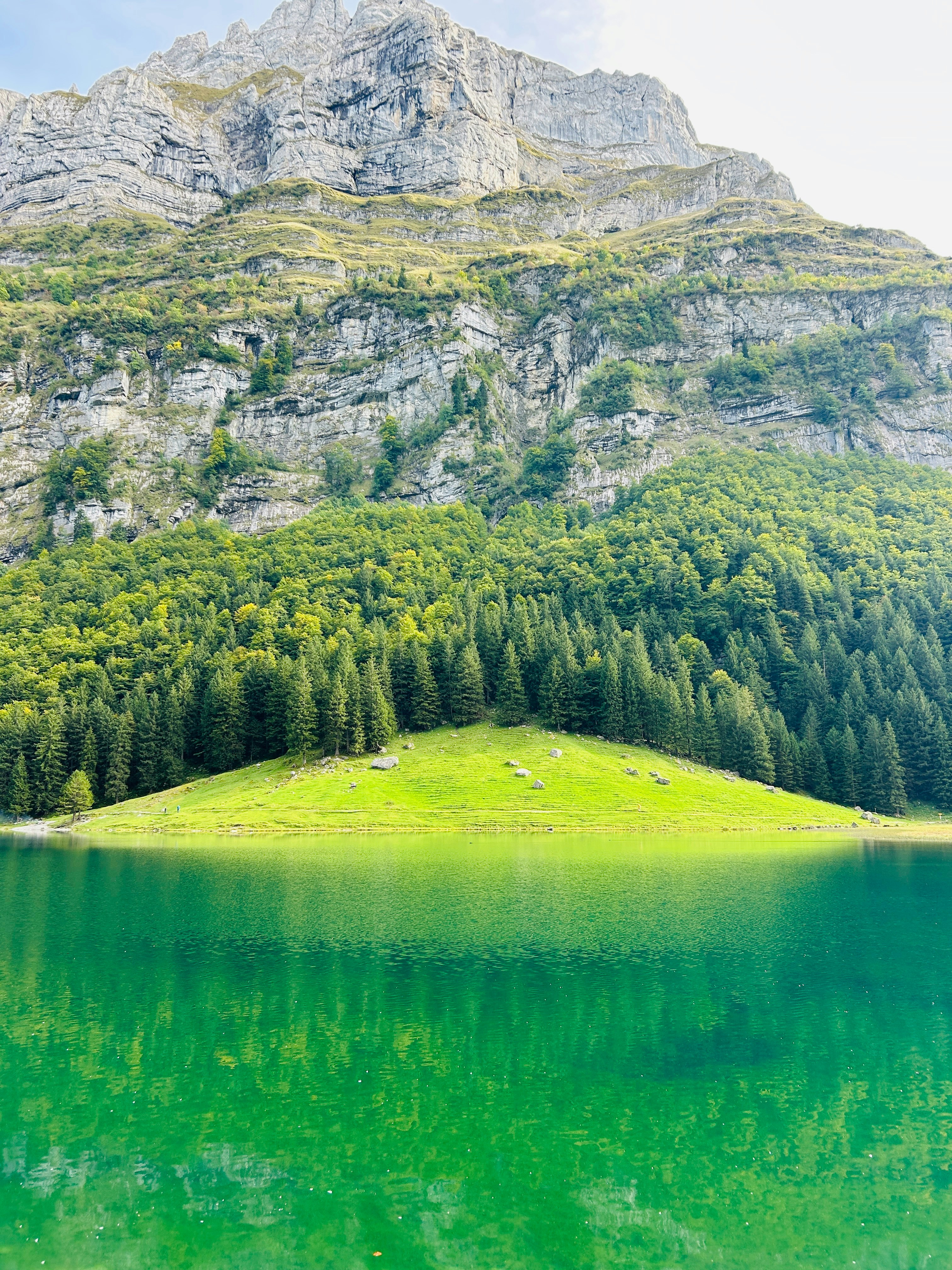 A majestic mountain overlooks a vibrant green lake and forest.