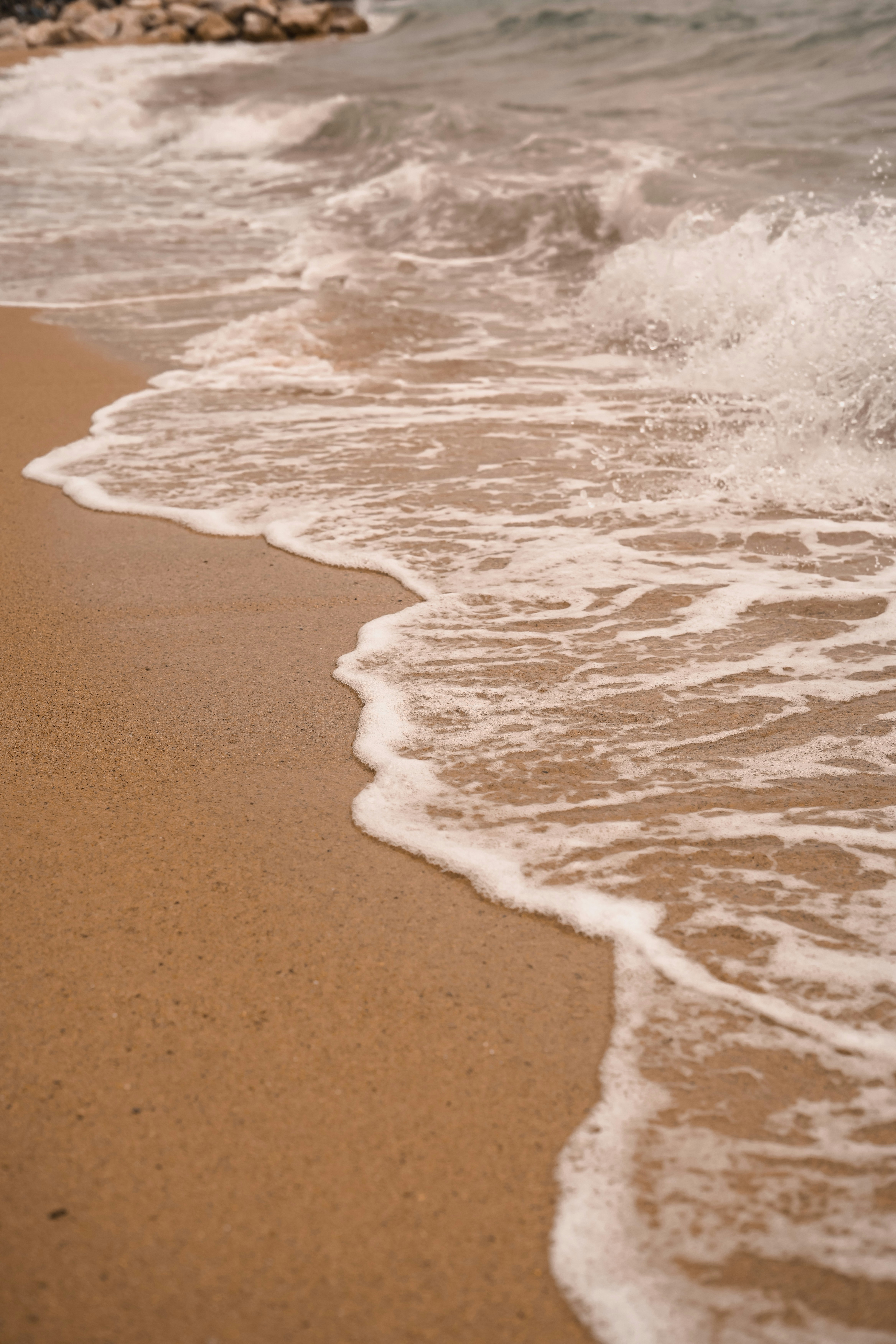 Foamy shoreline tracing a sunlit edge