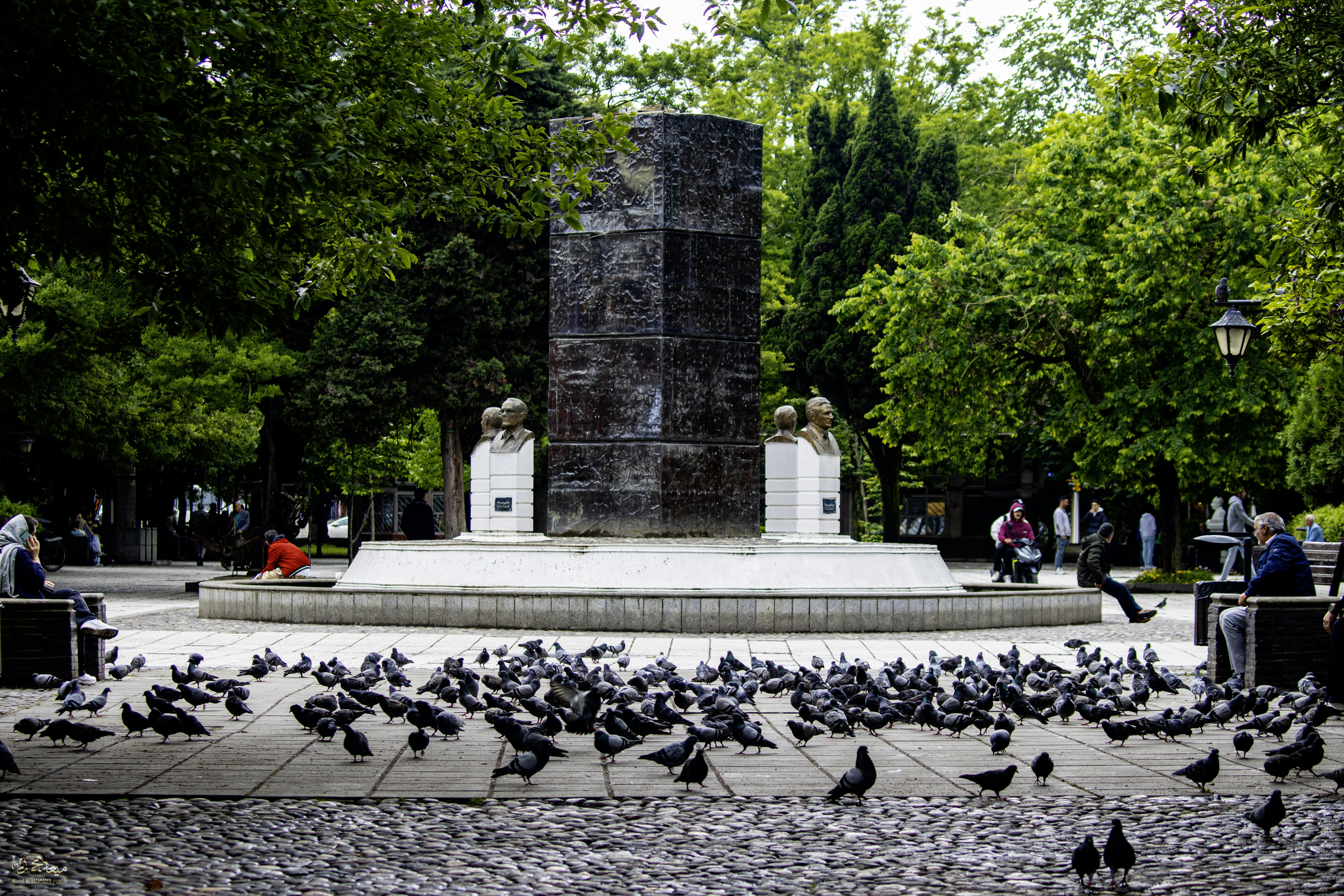 Monumental Square: Pigeons at Rest Beneath a Central Obelisk