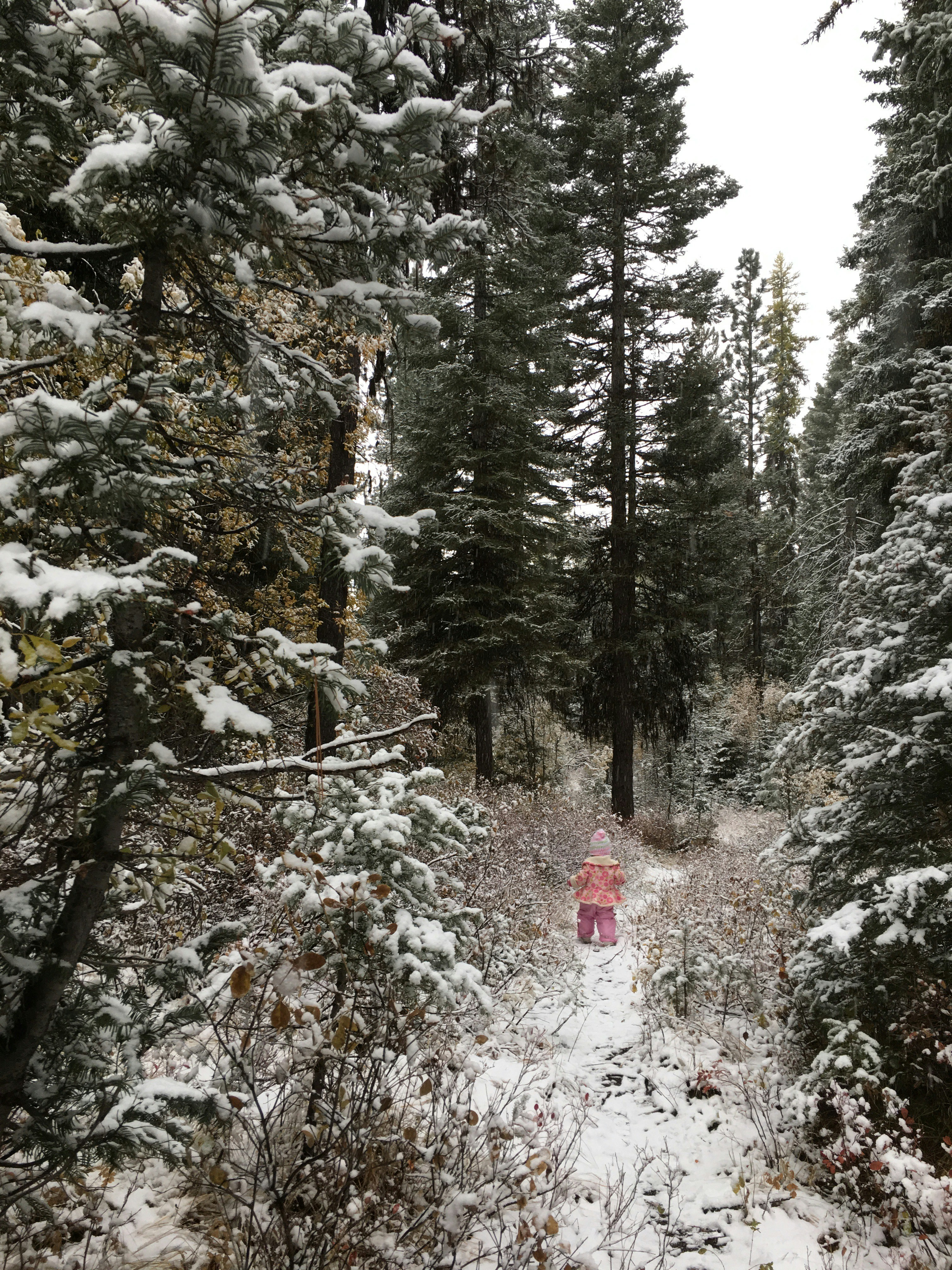 Snowy Pines Pathway with a Child in Pink
