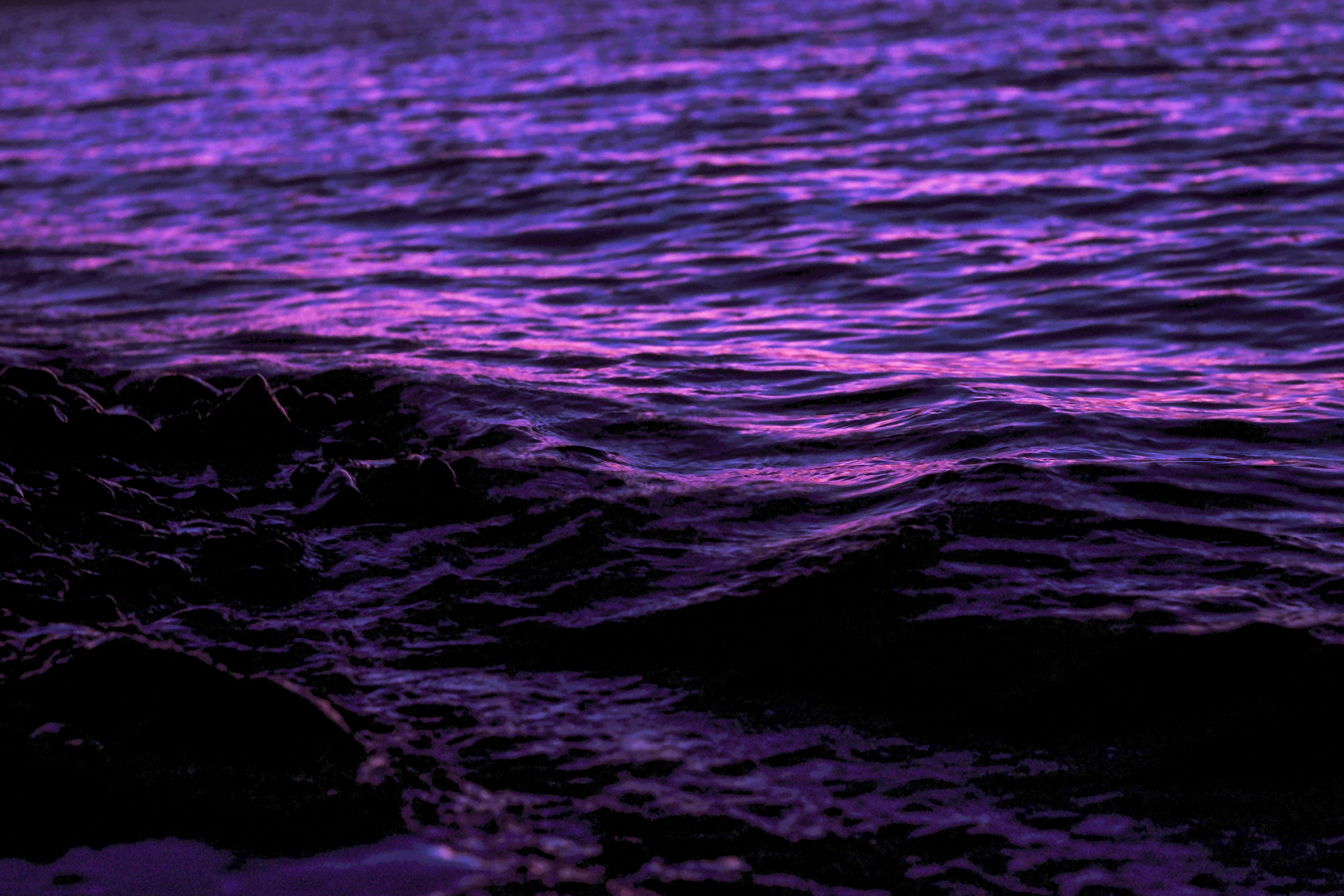 Purple Tides: A Quiet Rim of Night
