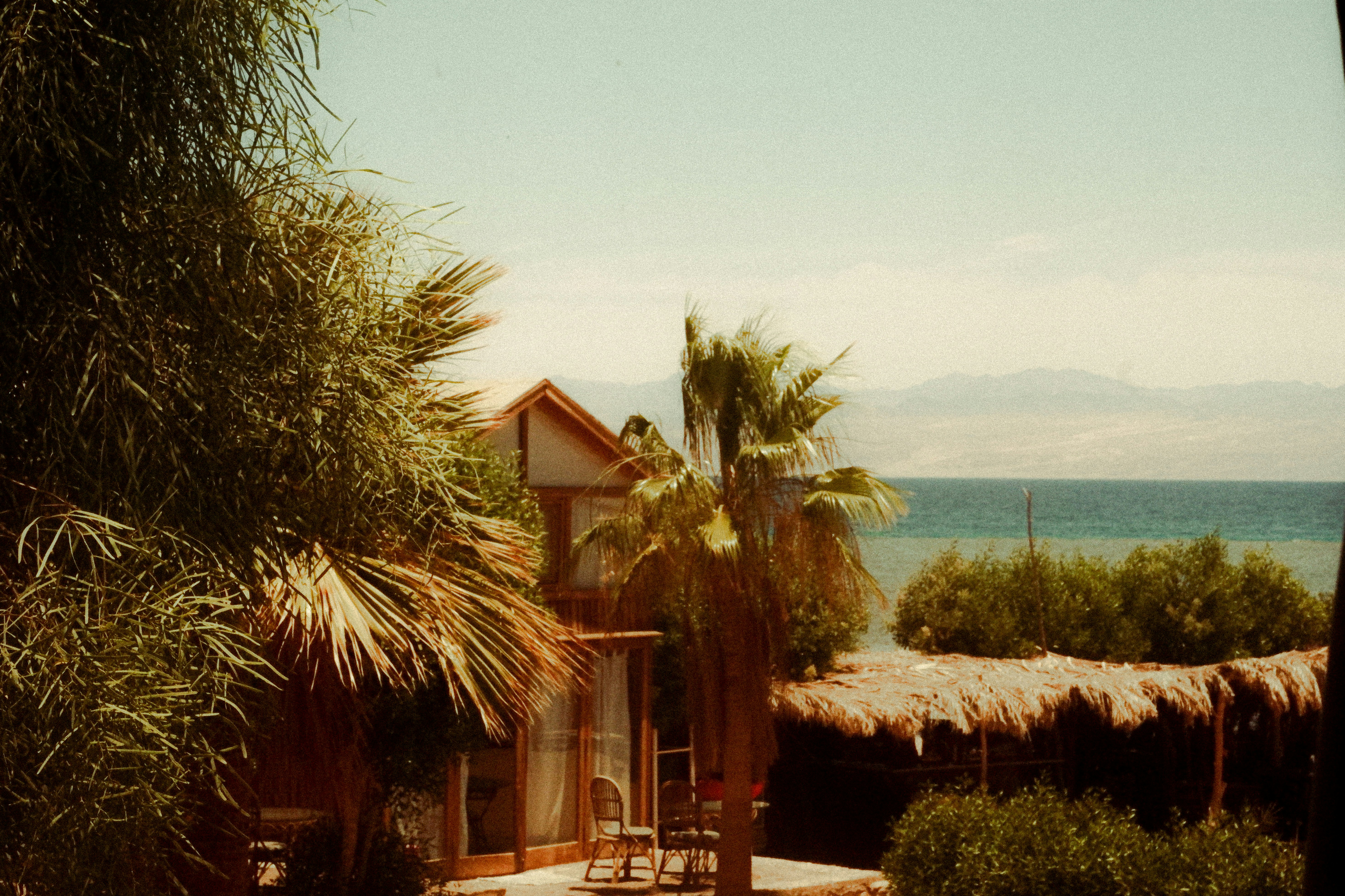 Cozy seaside retreat under palm shade
