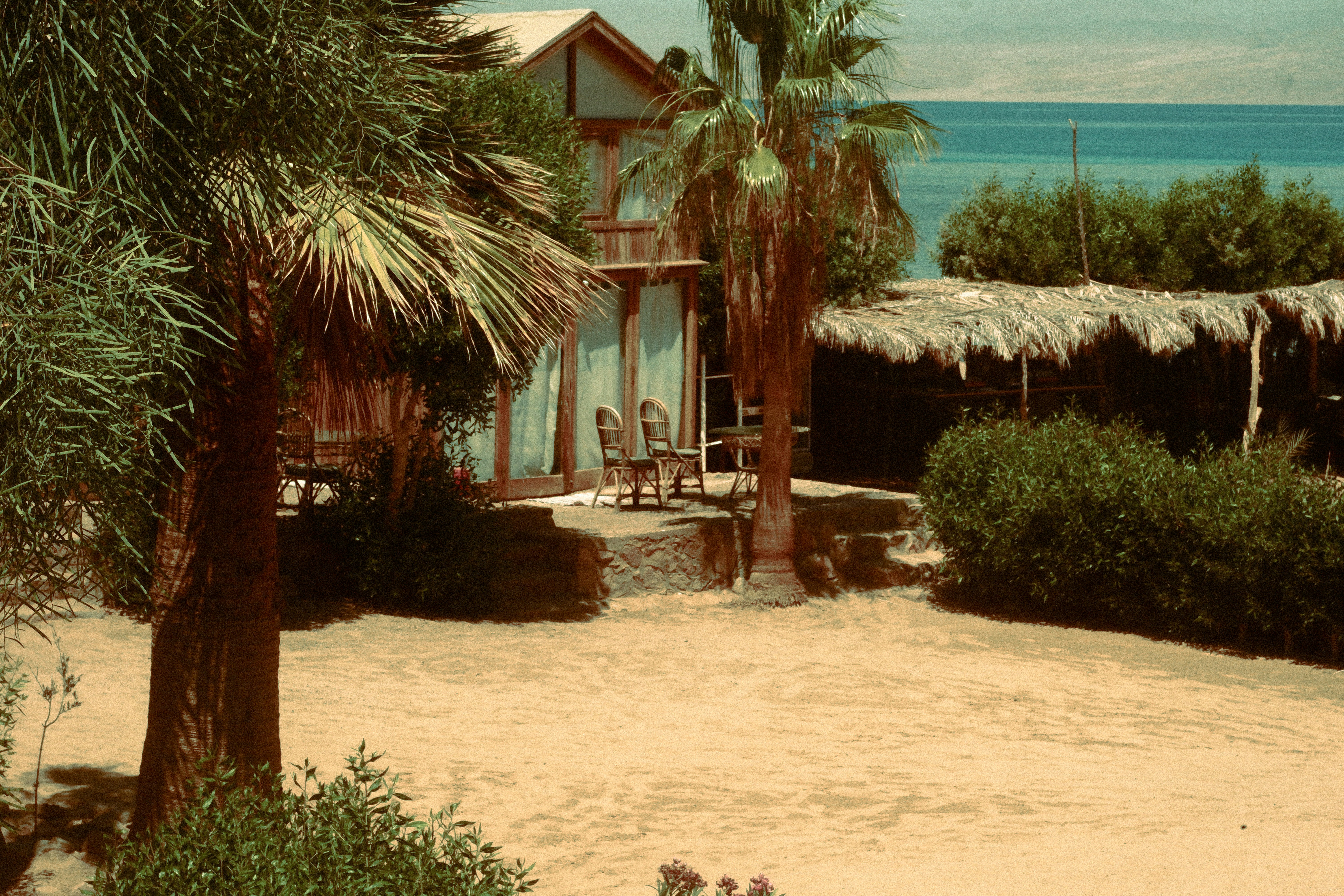 Palm-Shaded Beach House by the Quiet Sea