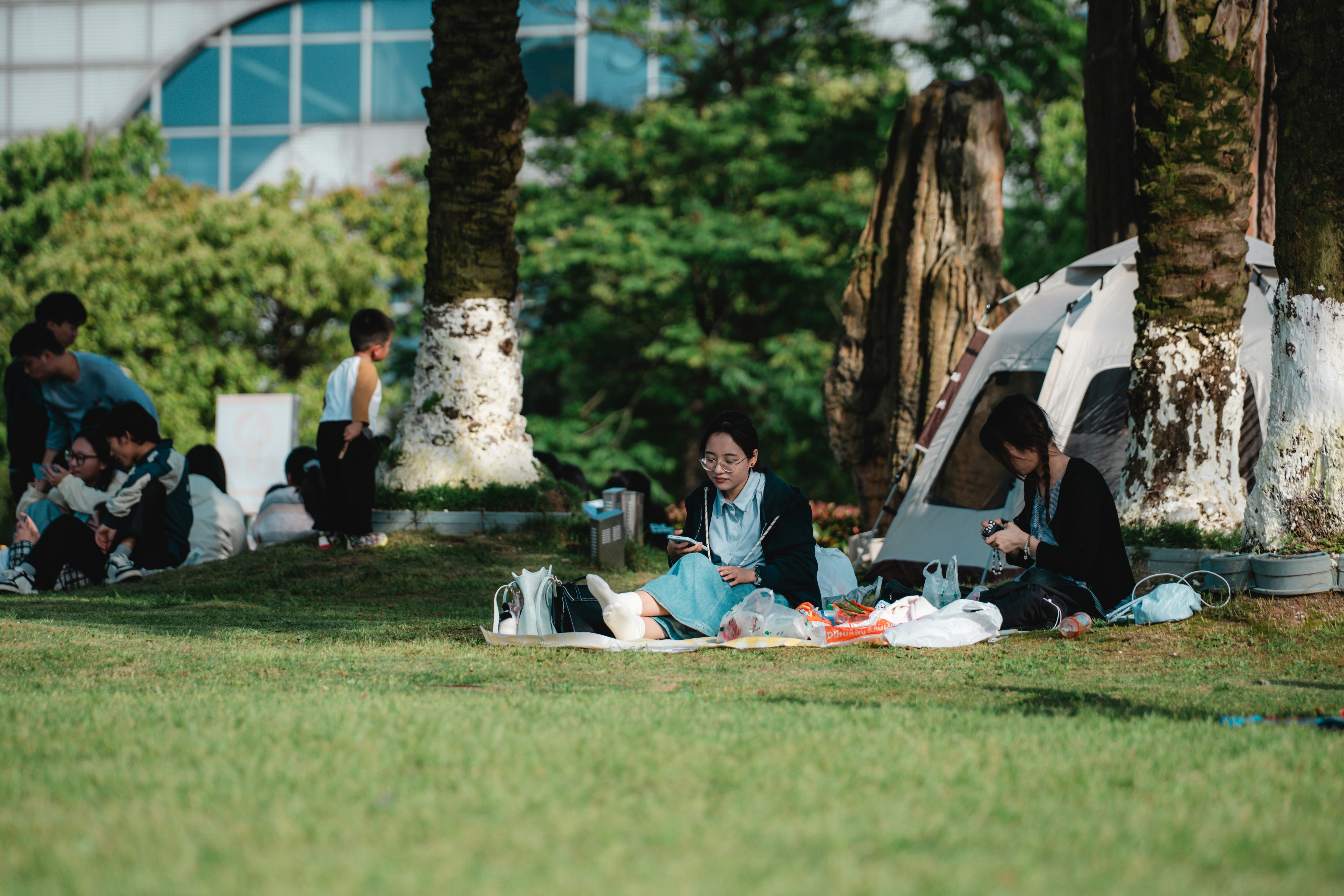 Picnic under the trees: a quiet moment by the camp