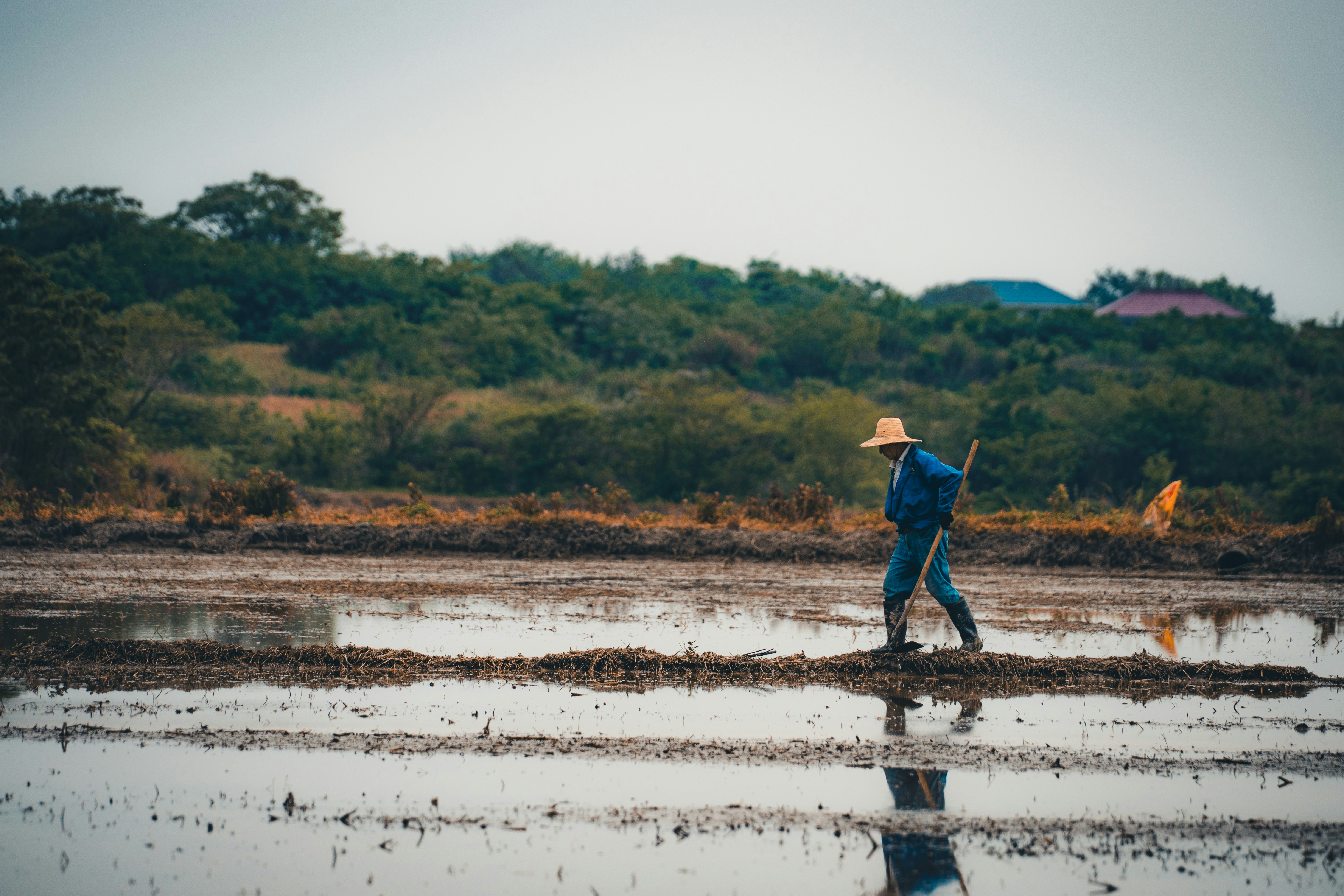 Mud Flats & Lone Walker: A Blue-Garbed Figure Traverses a Reflective Field