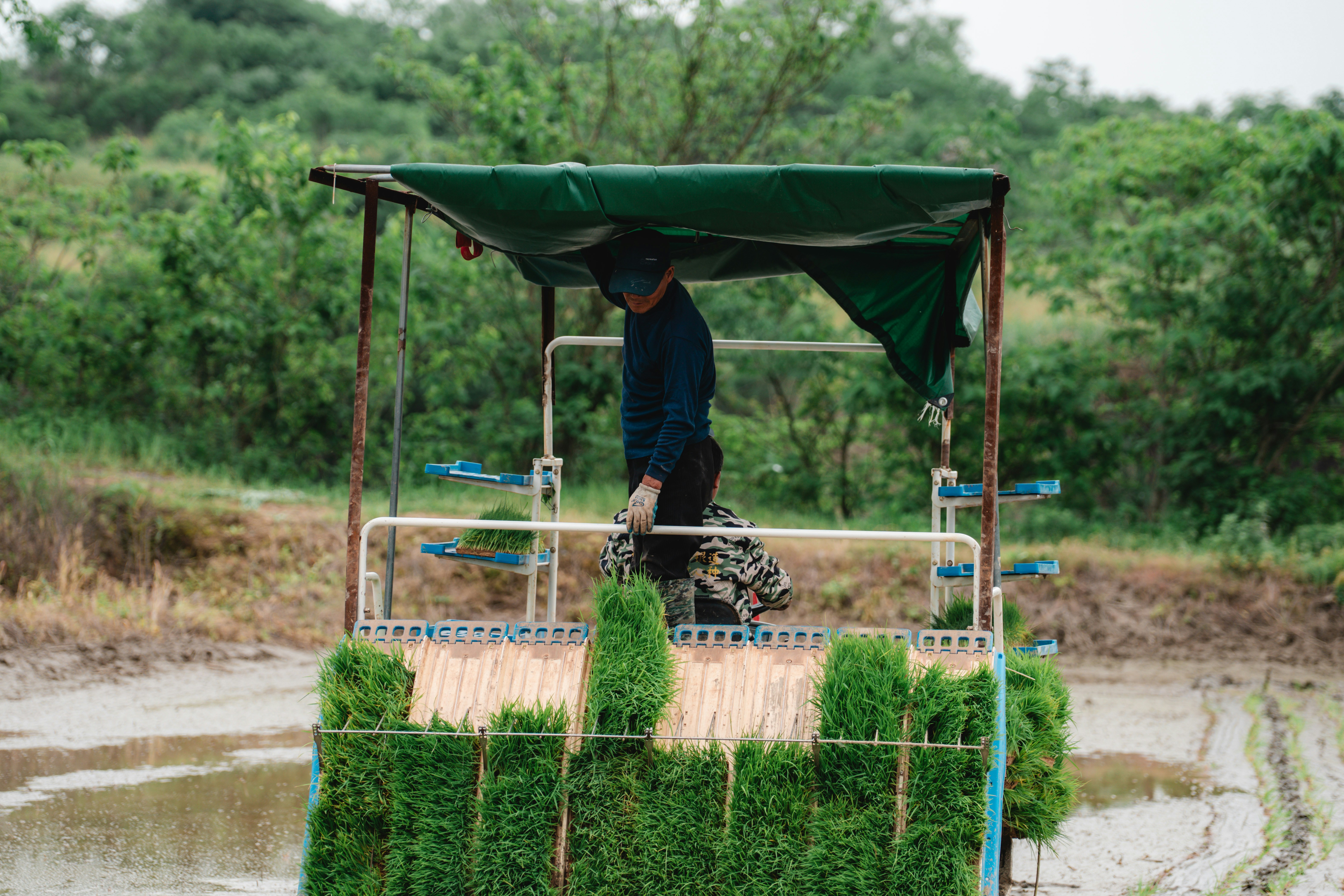 Swept-Leaf Tractor: A Worker on a Floating Farm Platform