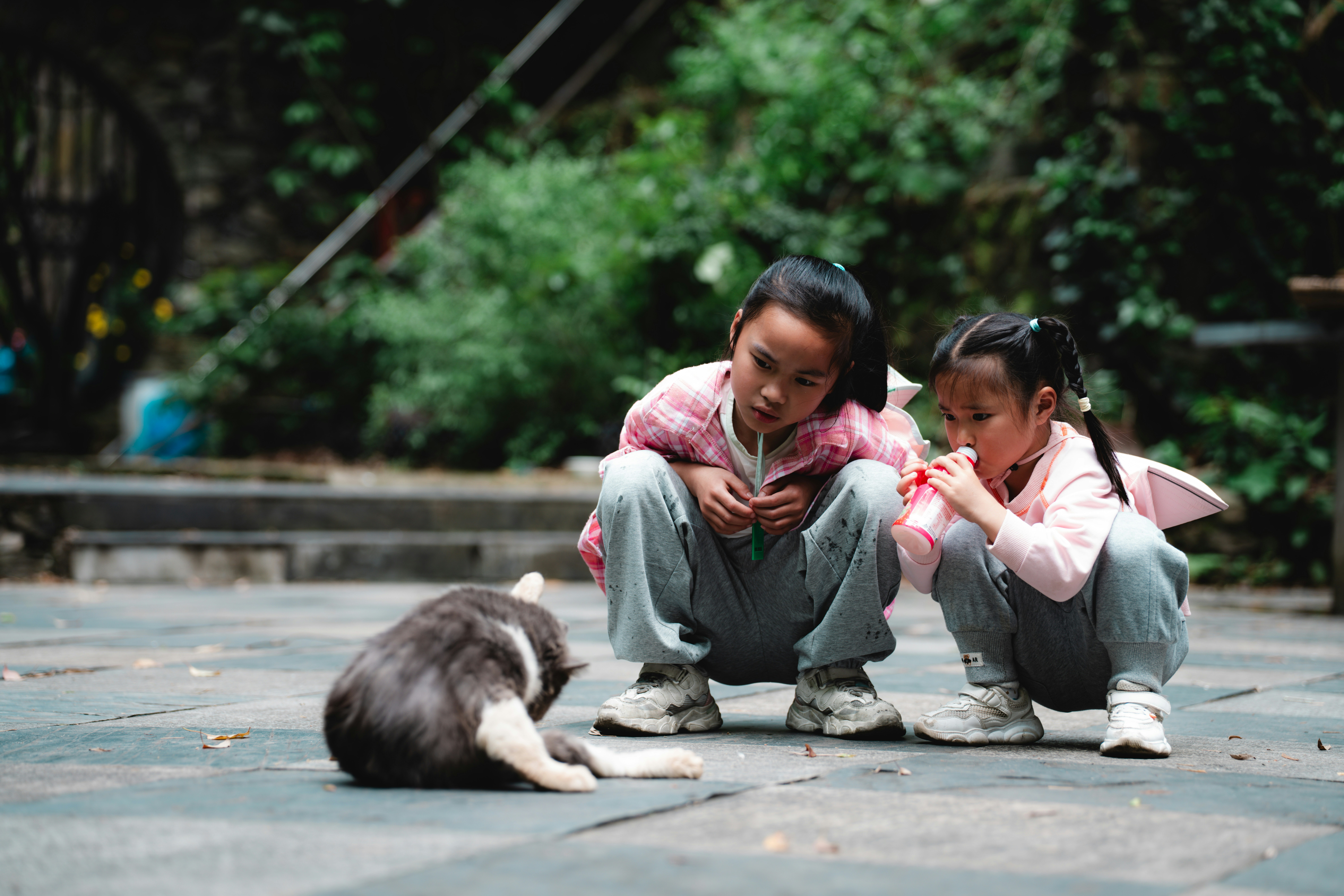 Two curious sisters and a cat: quiet moment in the courtyard