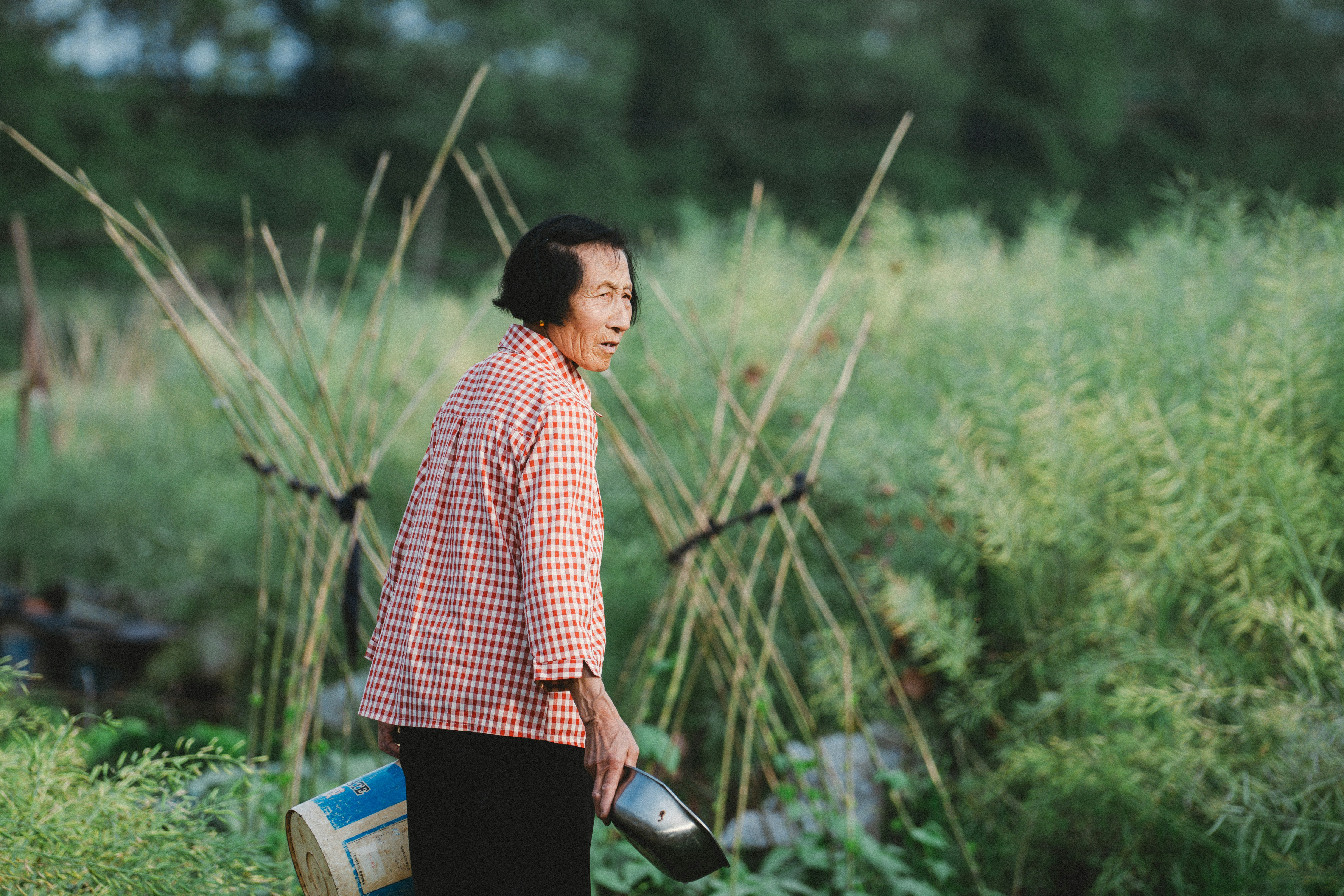 Patchwork Garden Portrait: A Elderly Gardener in a Checkered Shirt Among Greenery