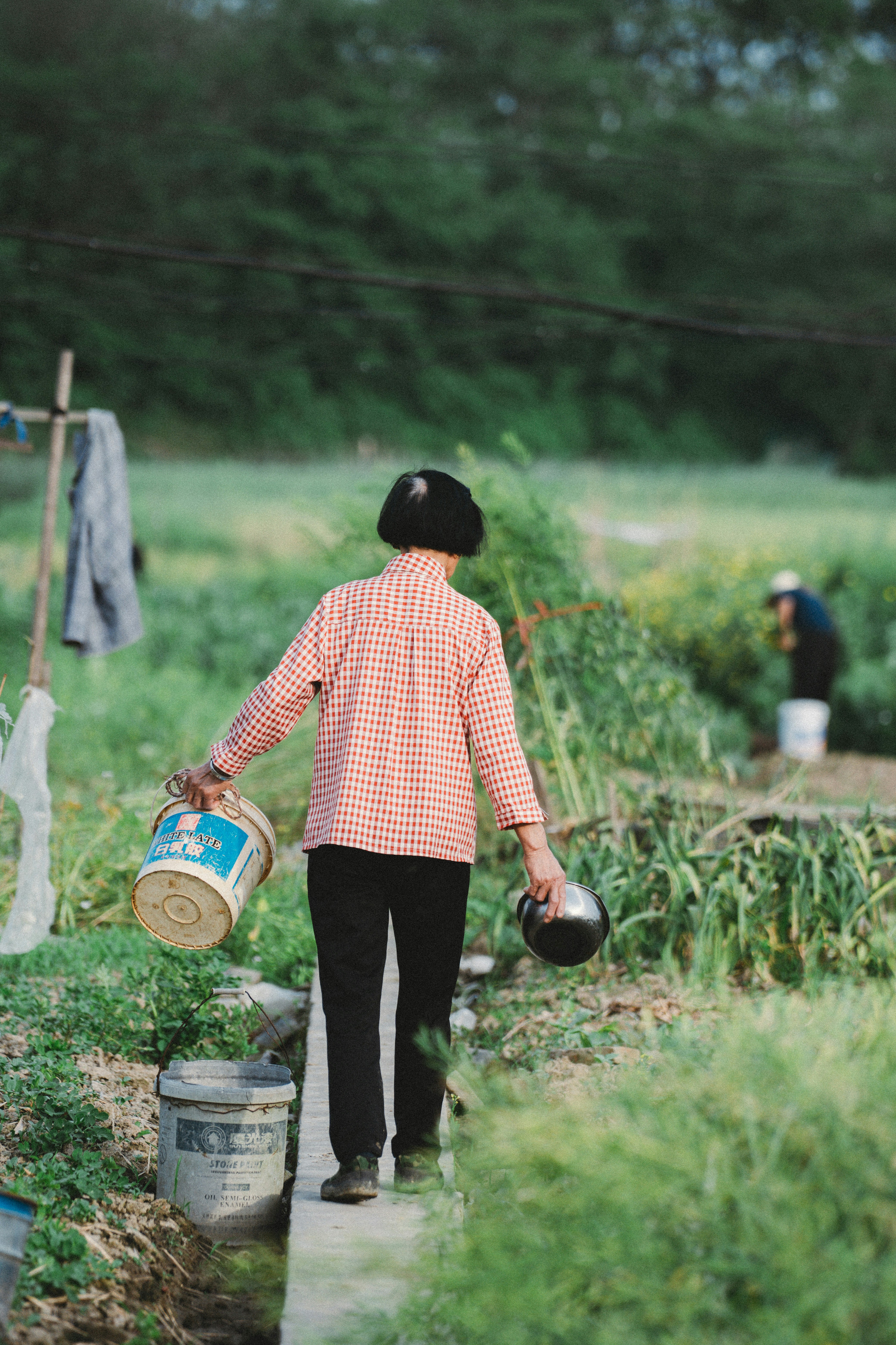 Back-illuminated Farmwork: A Gardener Carries Tools Toward the Field