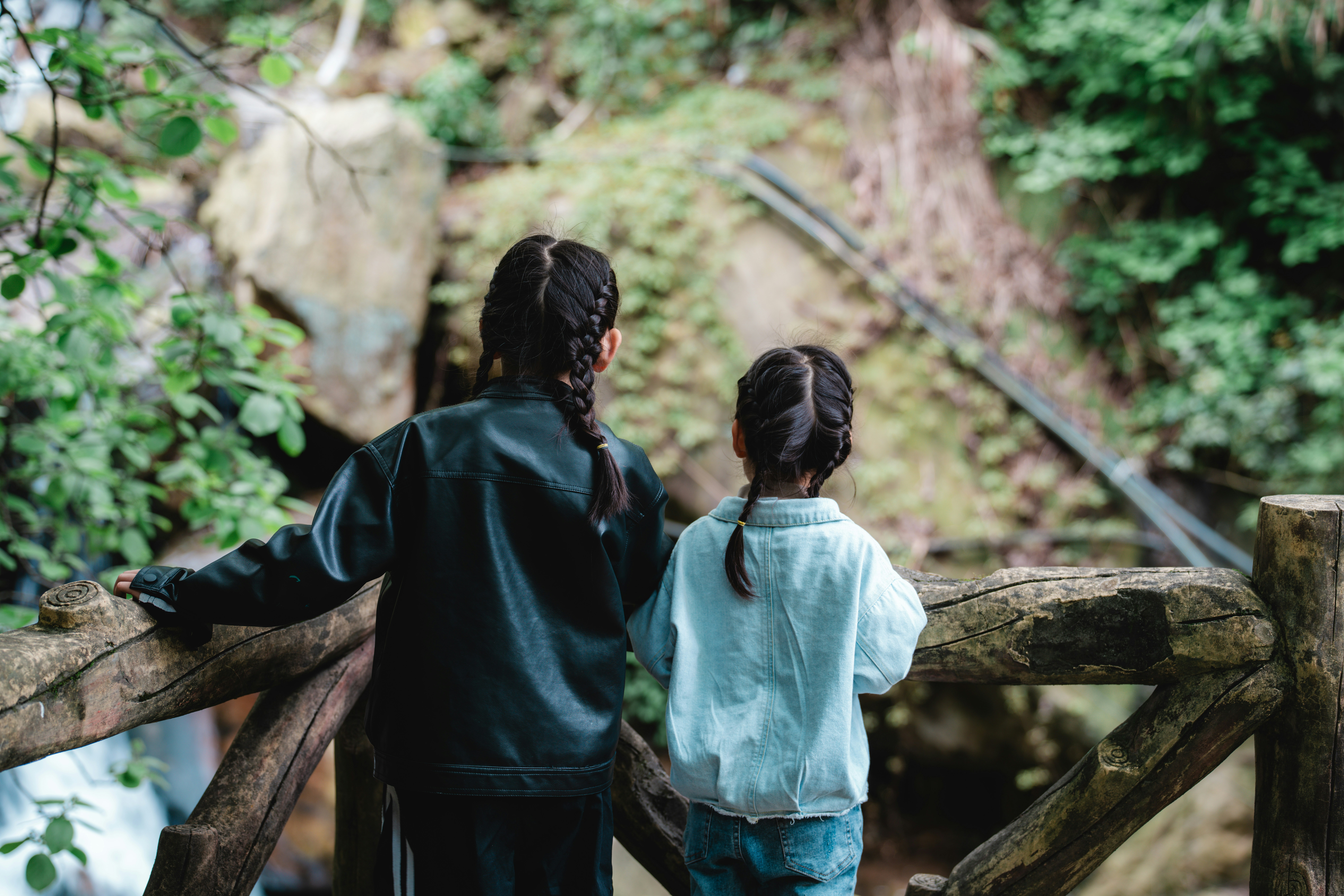 Two girls with braided hair looking at a natural landscape.