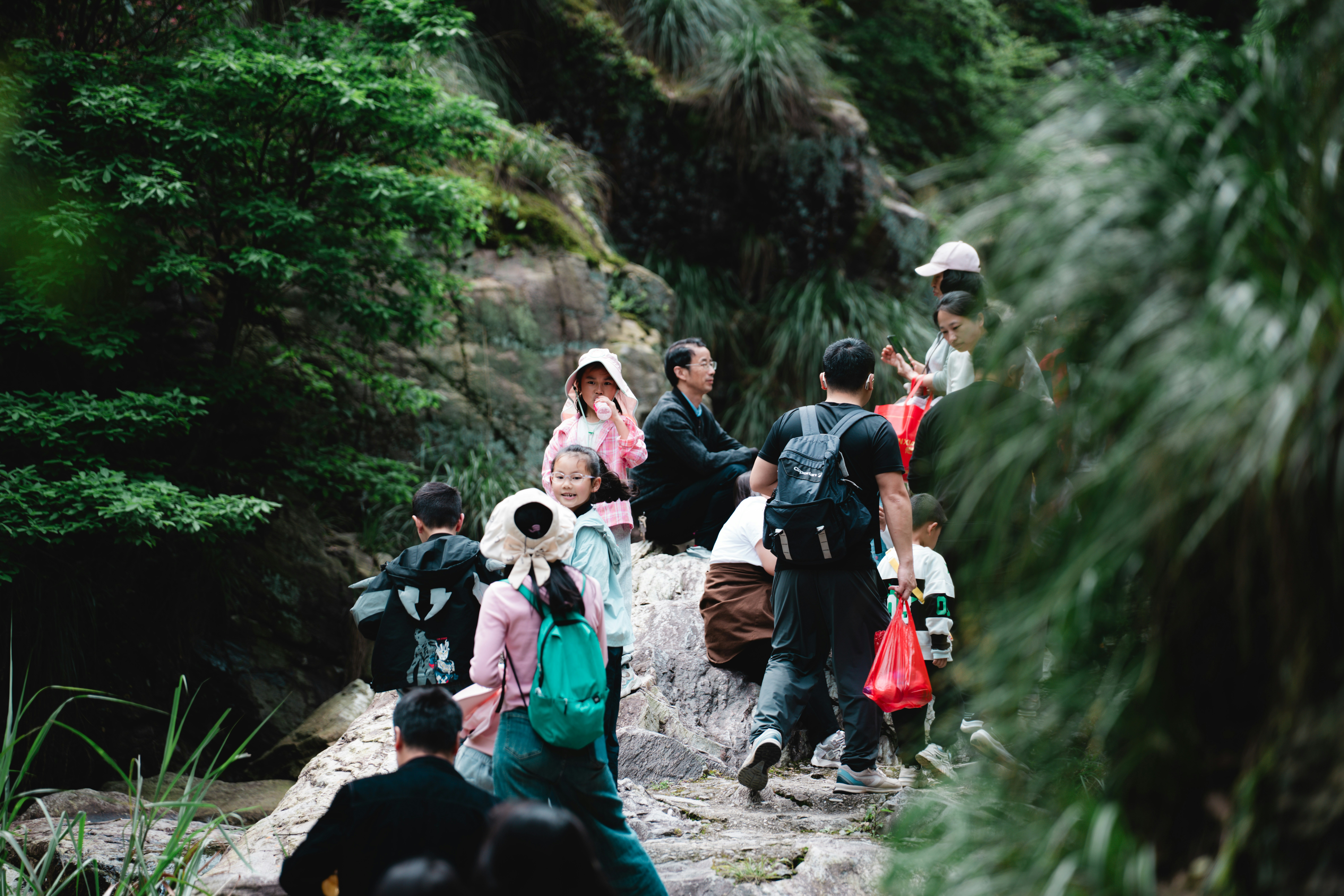 Hikers Thread a Narrow Passage Through a Lush, Green Channel