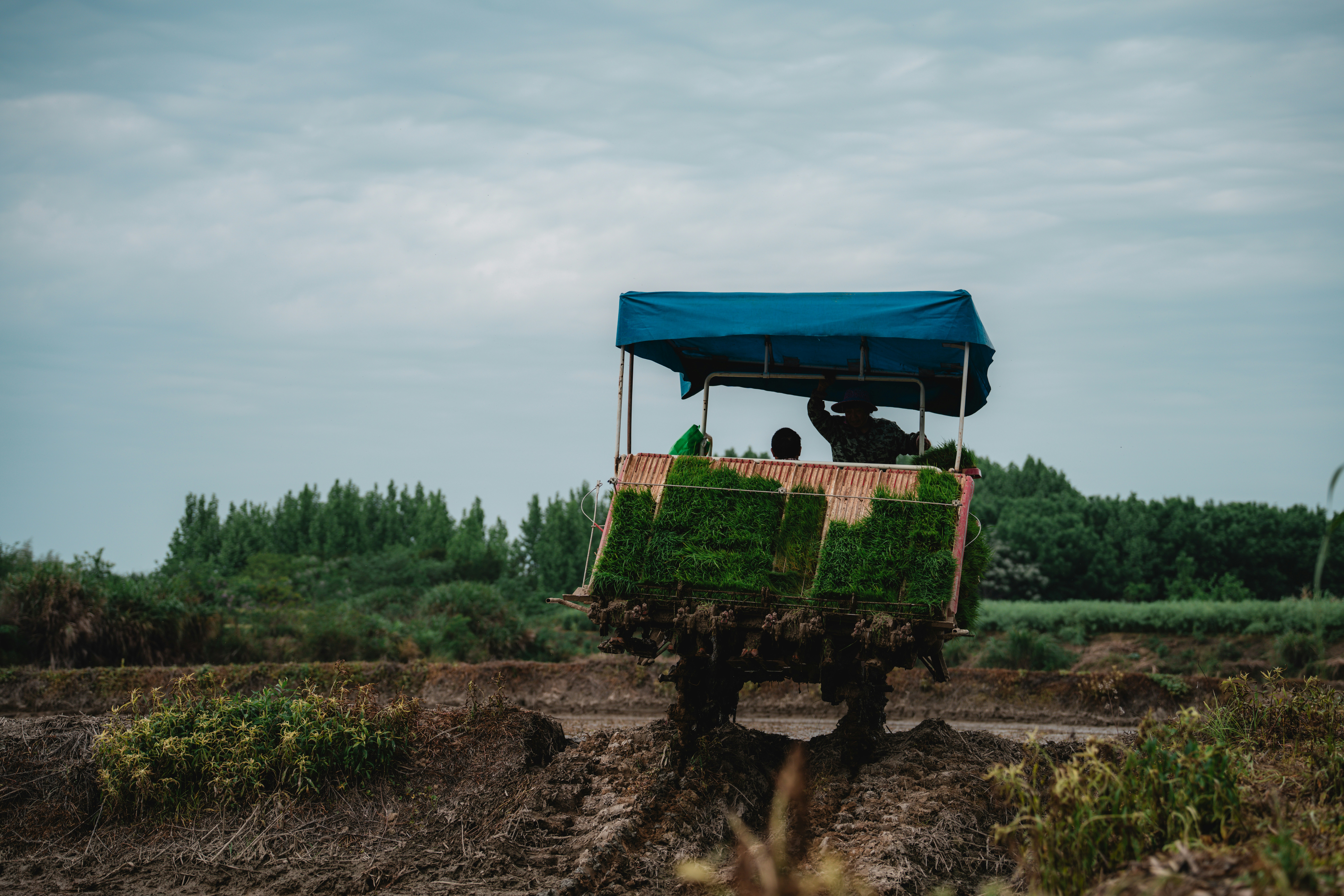 Hovering Hauler: a muddy field and a lifted cart with a blue canopy