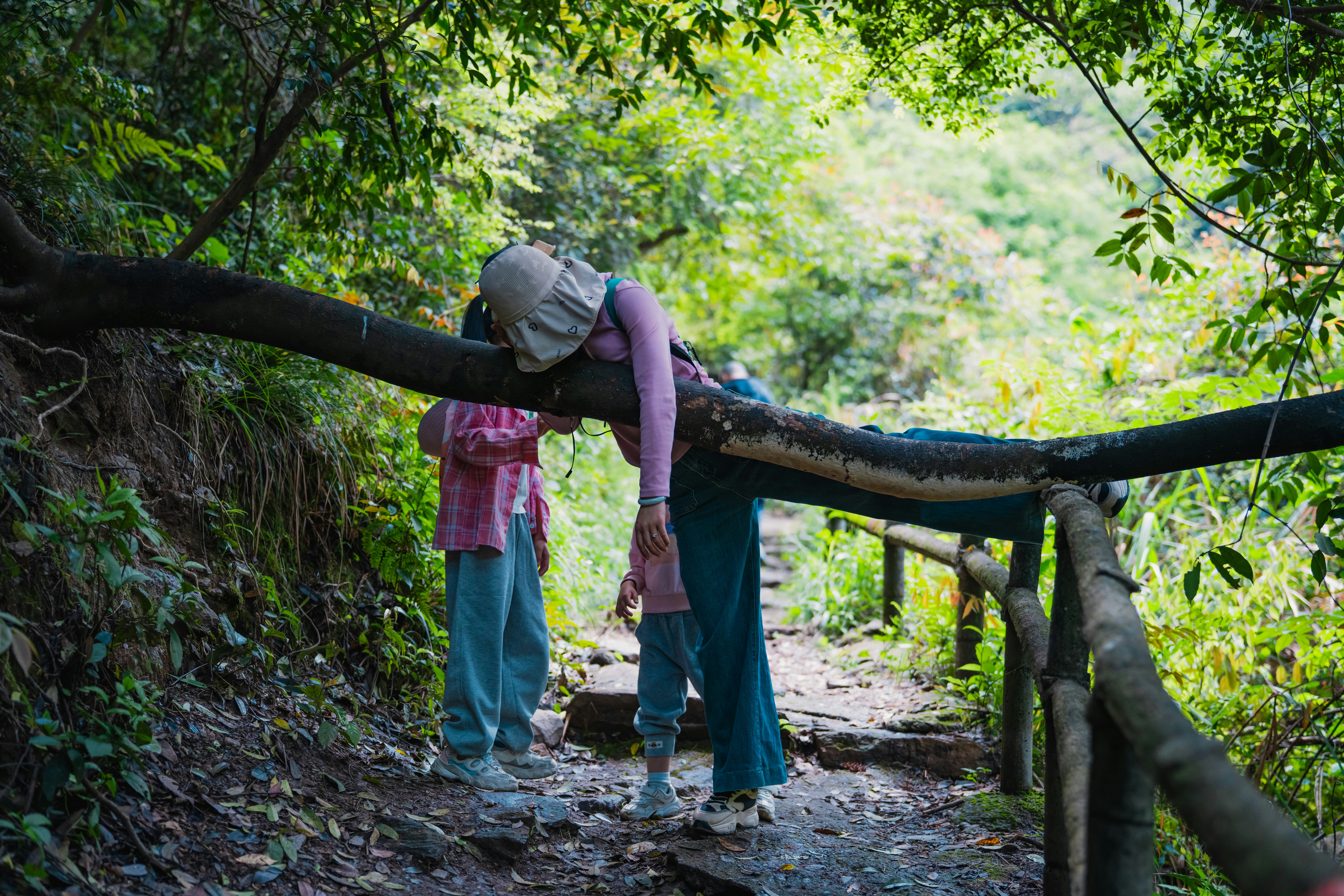 A person rests on a tree branch in a forest.