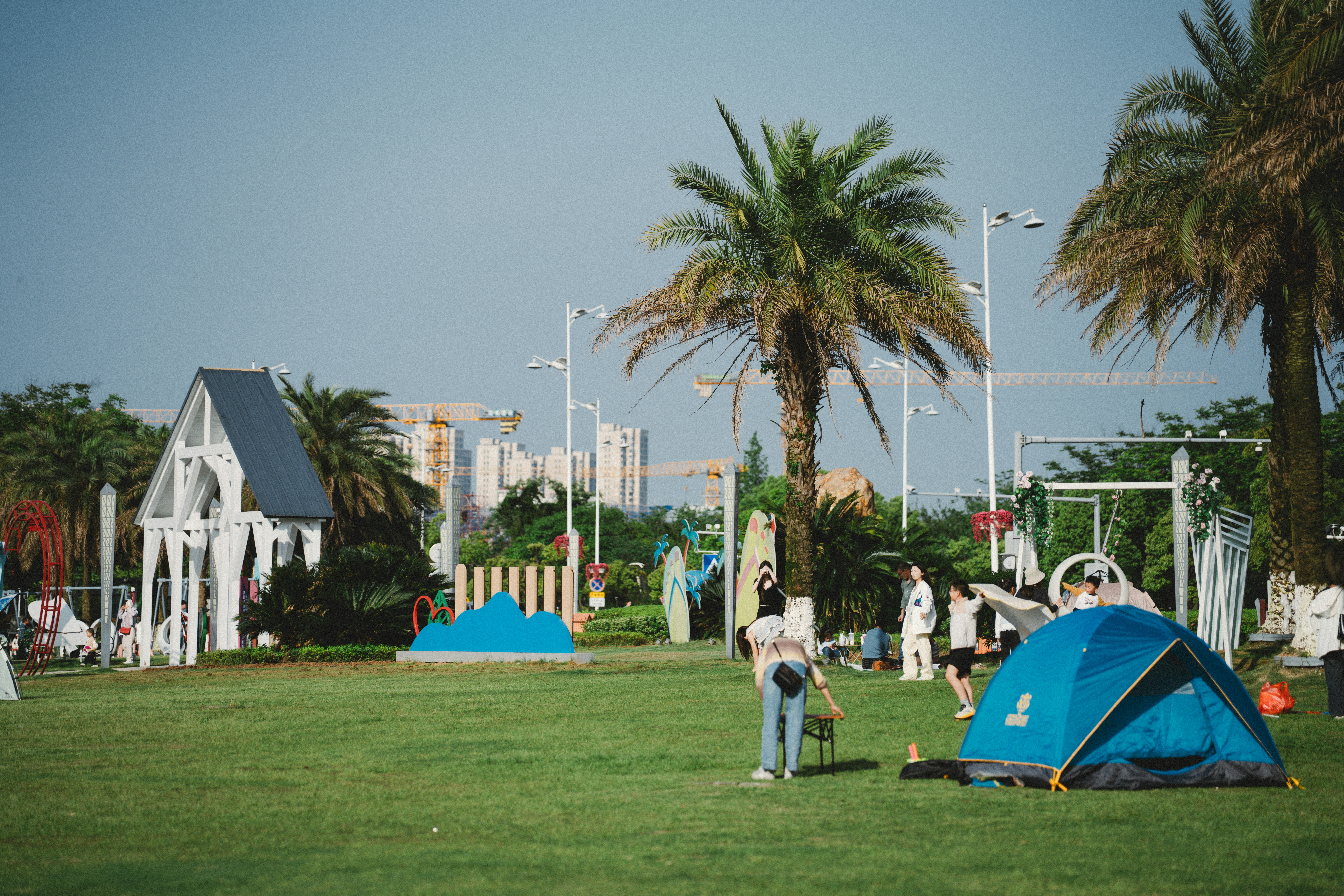 Lush City Park Campground Under Palm Shade