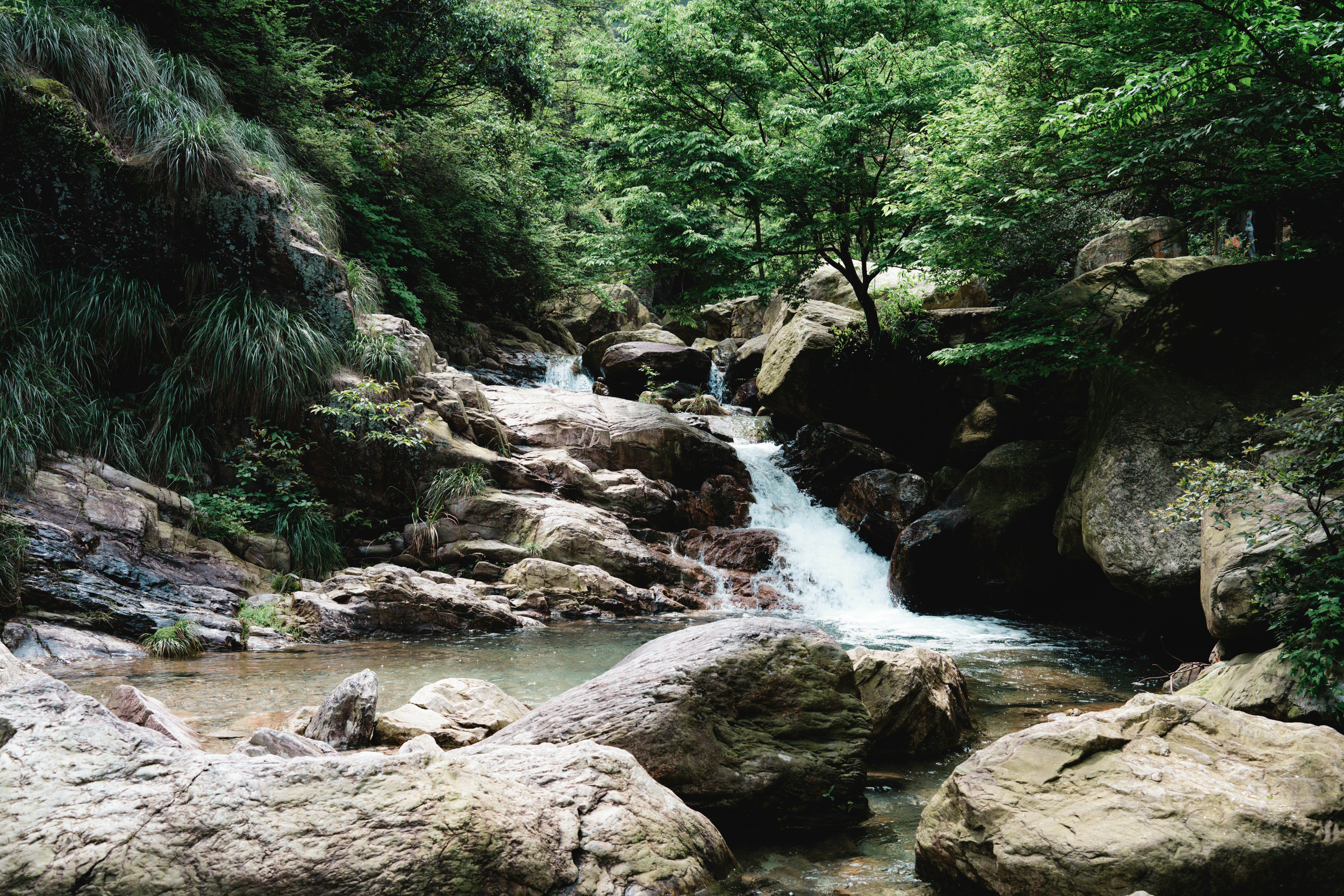 Riverine Mosaic: Stones, Silk Water, and Quiet Green