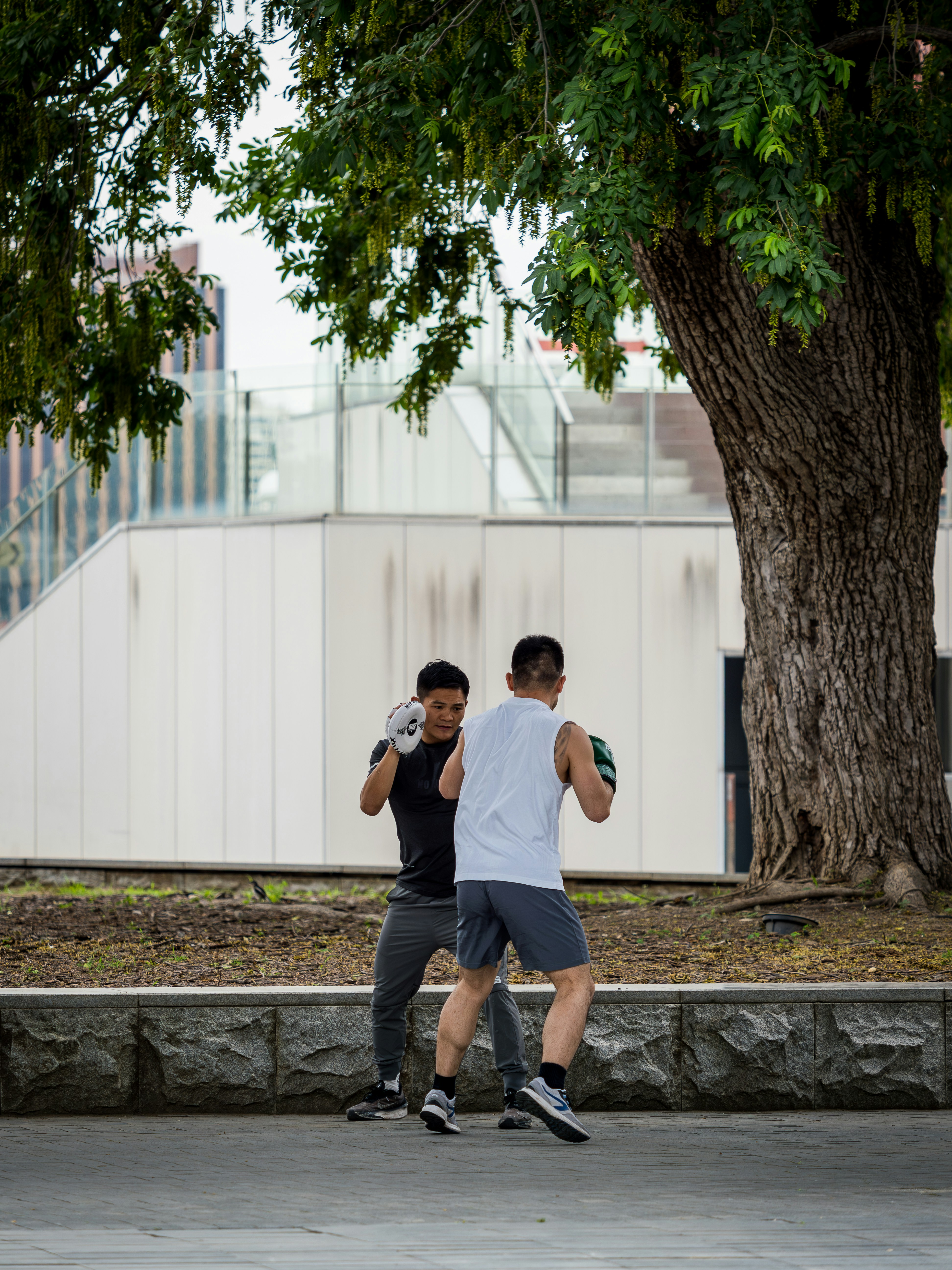 Two men training boxing outdoors with pads.