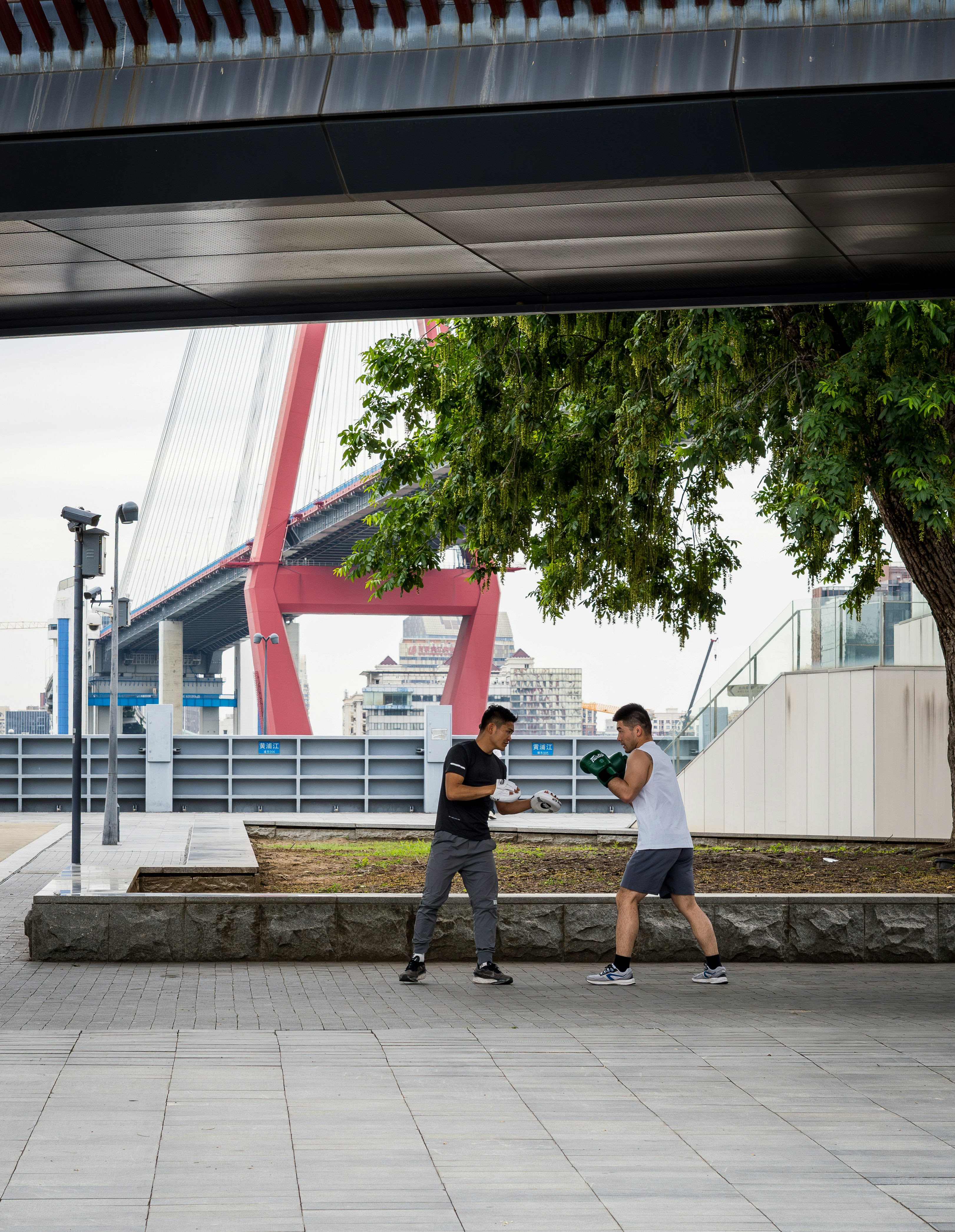 Punch-Up on the Riverwalk: Two Boxers in Conversation Beneath a Modern Canopy