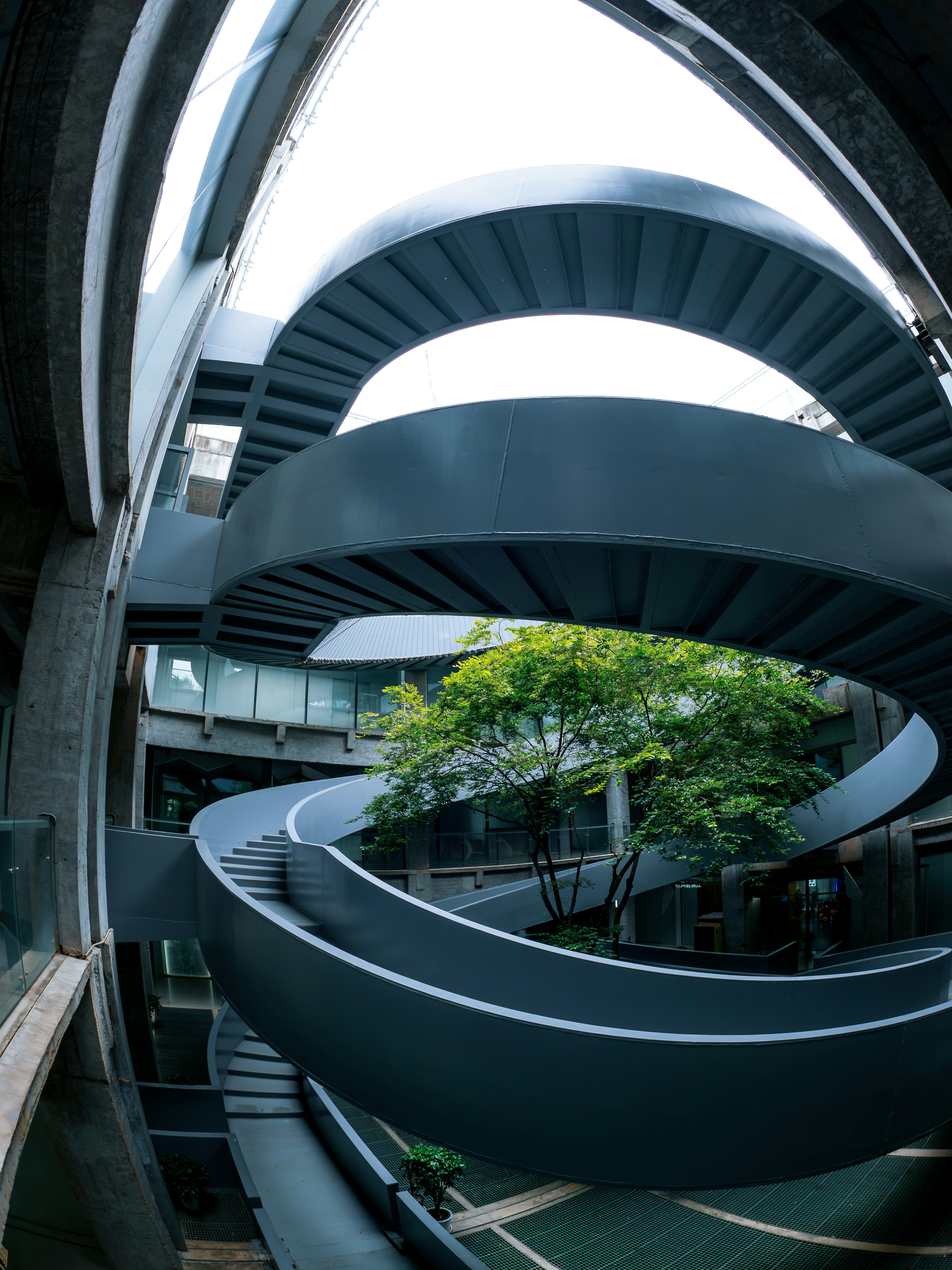 Modern architecture with a curving spiral staircase and green tree.