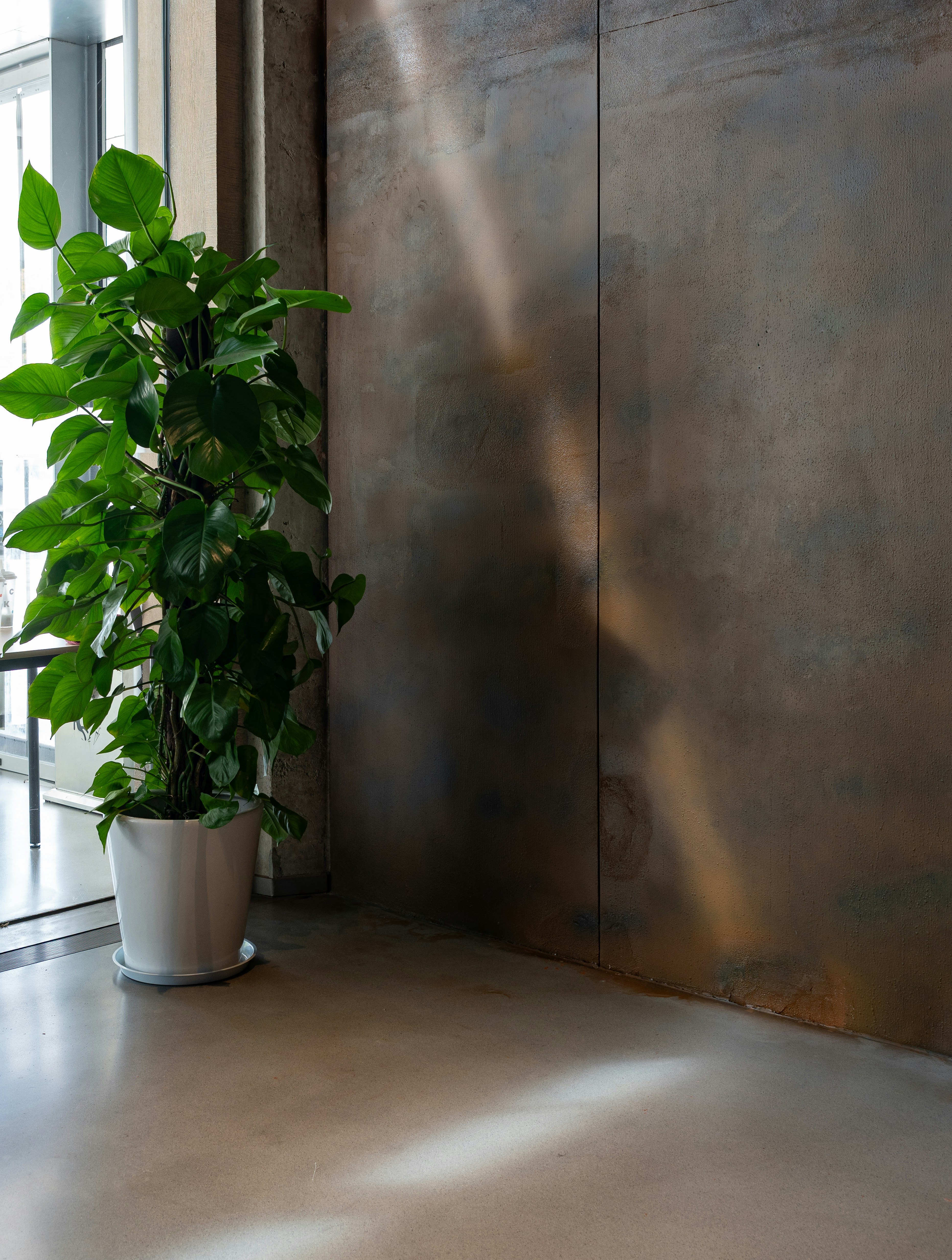 Quiet Interior Verdant Corner with Sunlit Glass and Copper Wall