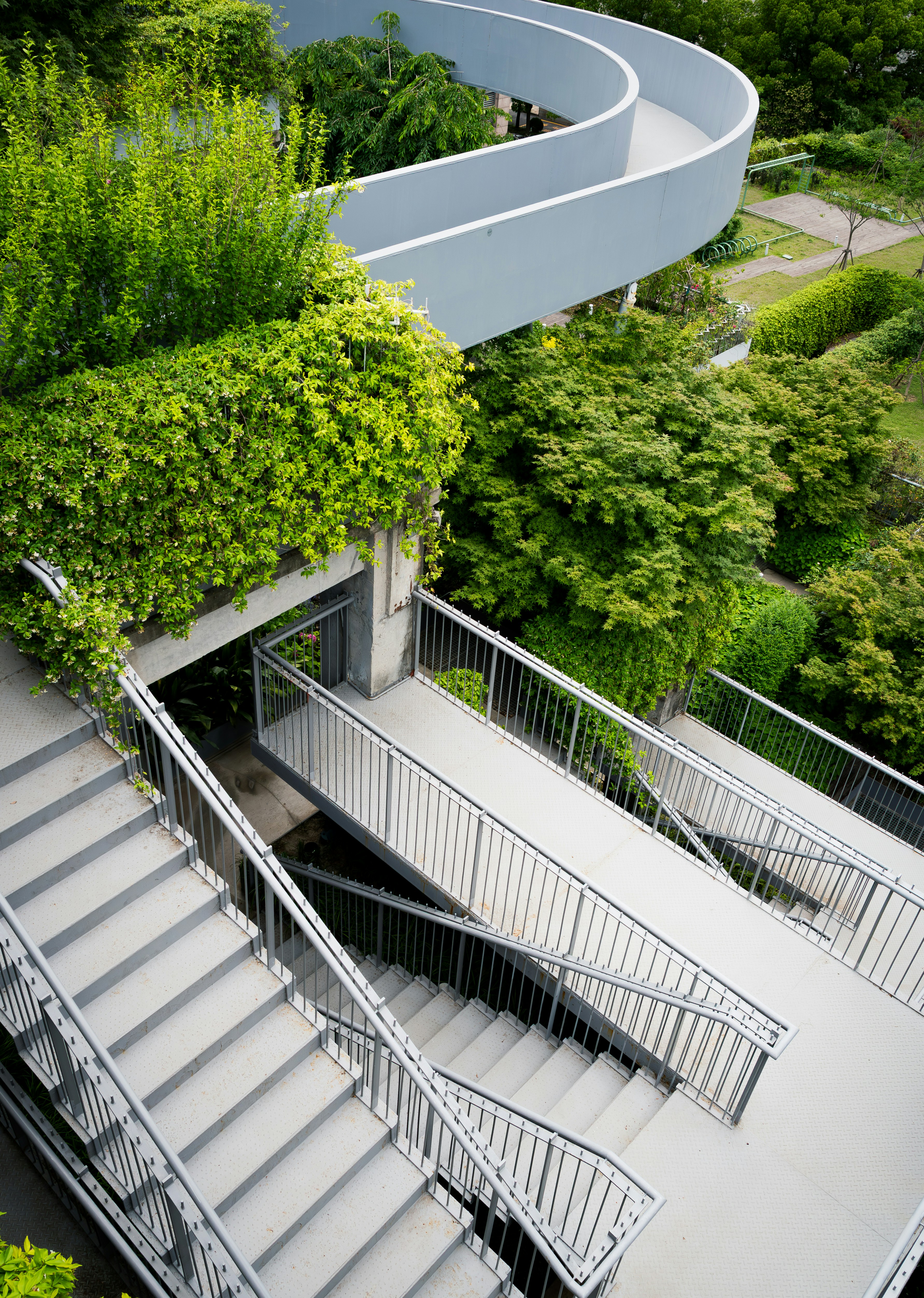 Modern stairs and a curved walkway surrounded by green plants.
