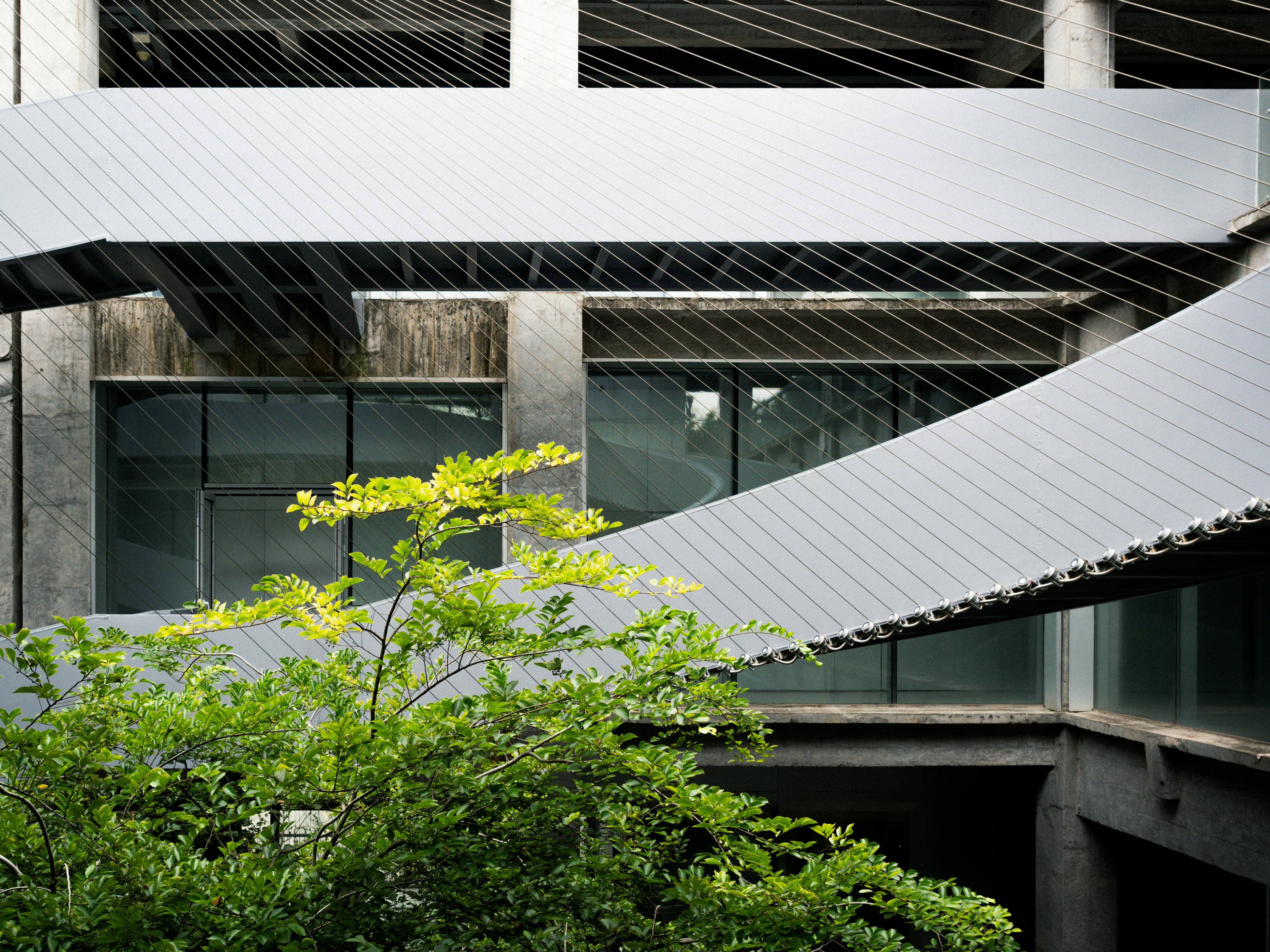 Modern building with curved roofs and green tree.