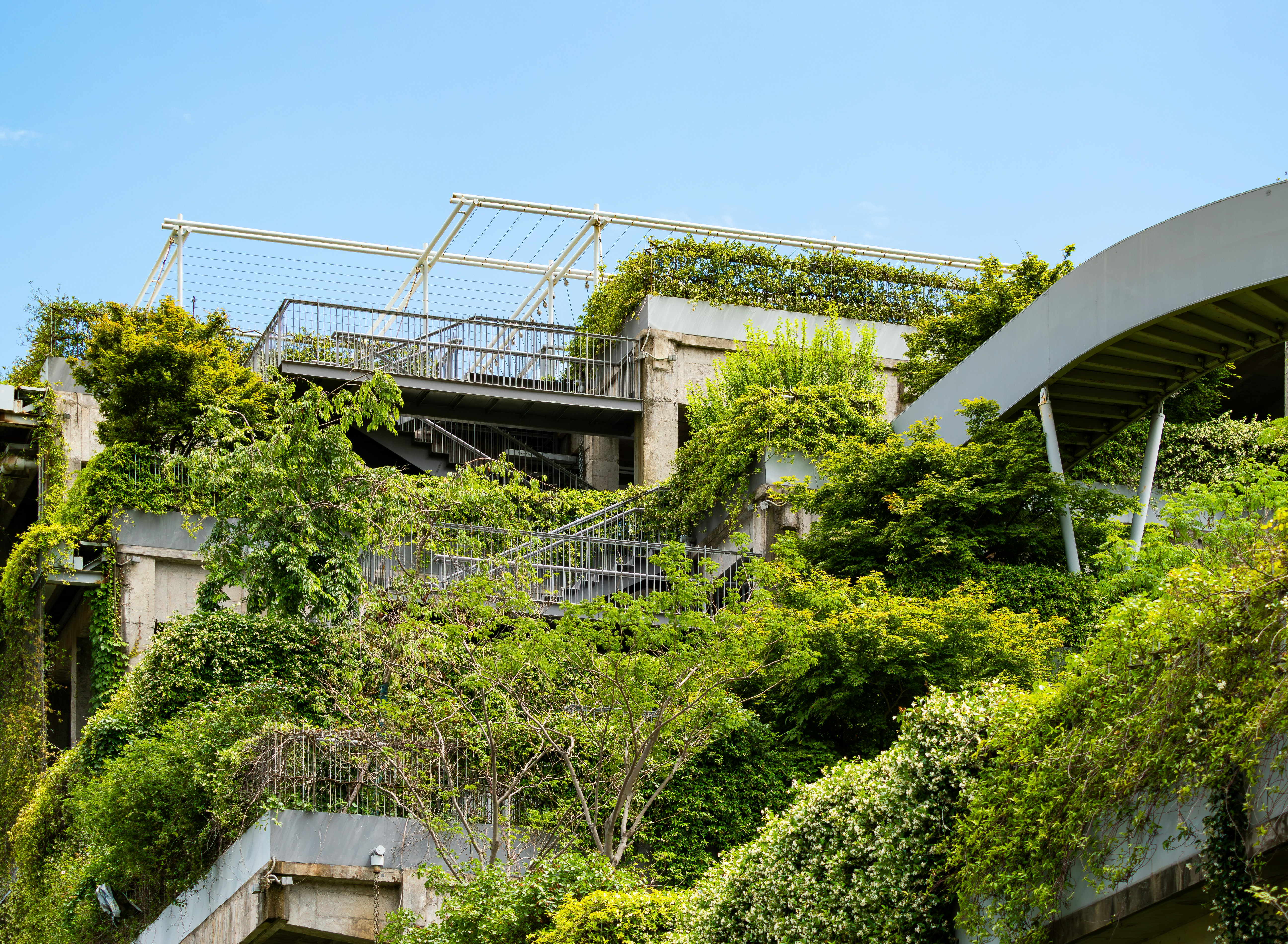 Verdant Amphitheater: Concrete and Foliage Coexist on a Terraced Structure