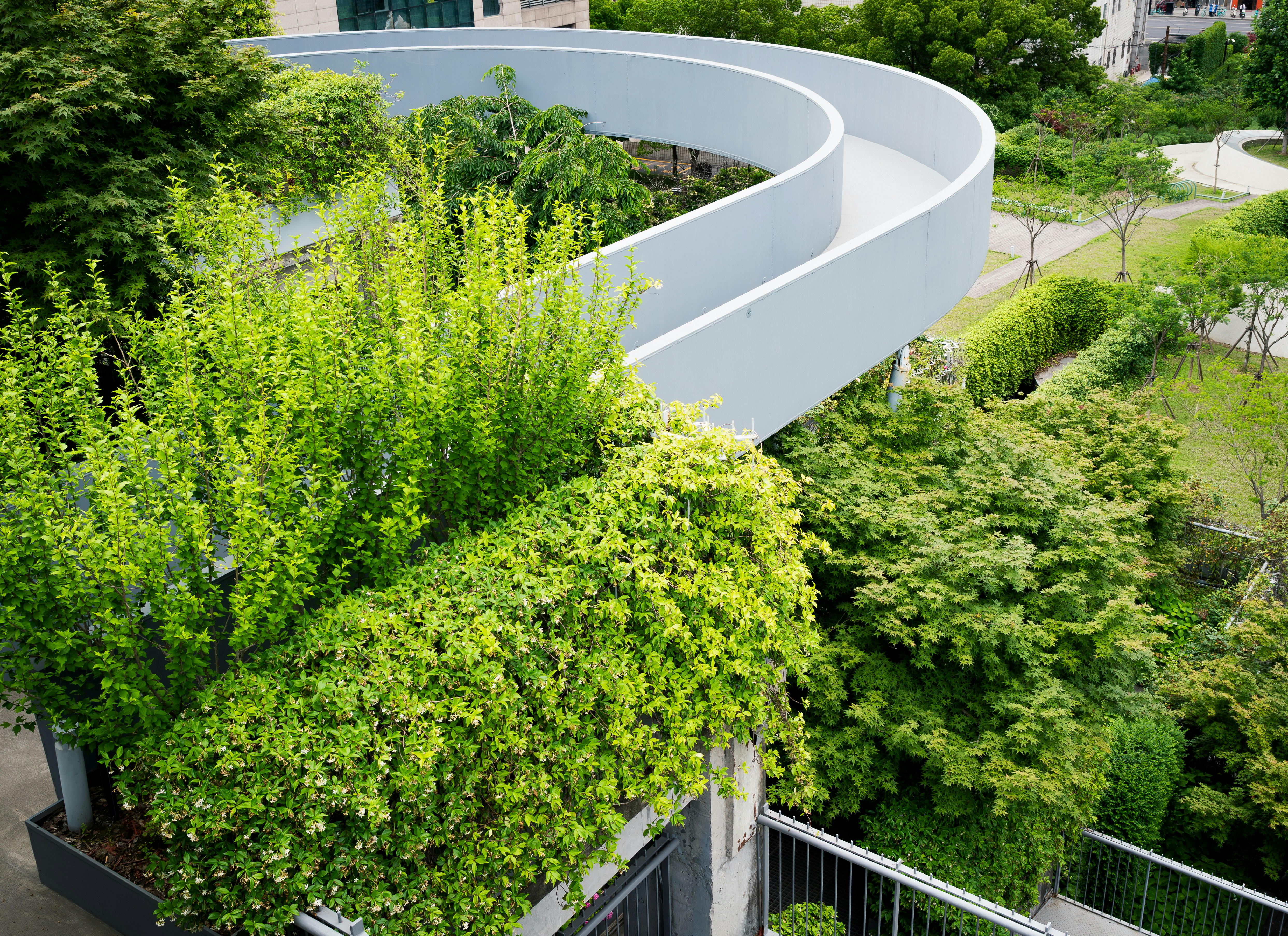 Elevated gray pathway curving through abundant green vegetation.