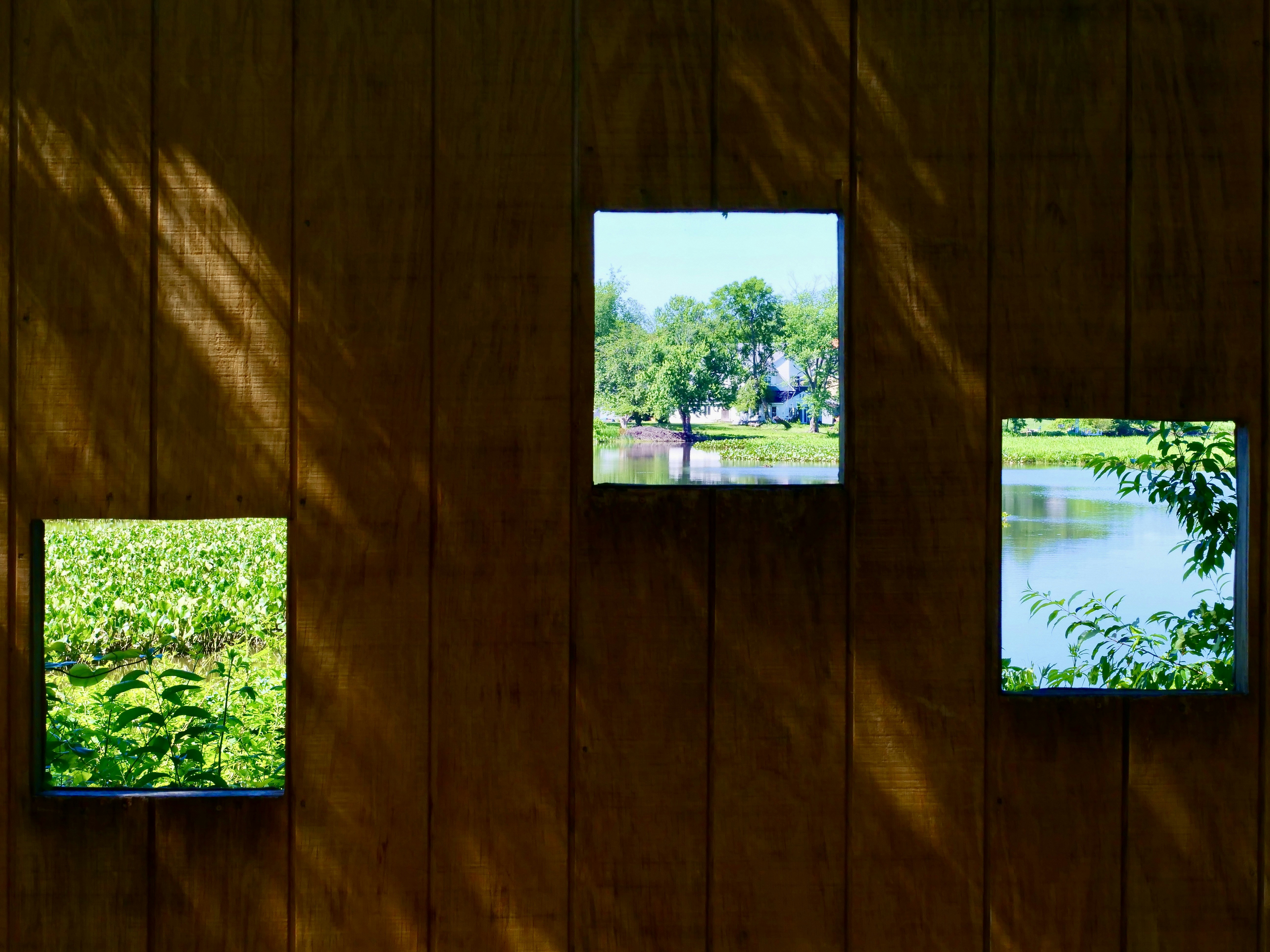 Three Floating Windows: A Quiet Glimpse of Nature Through Urban Wood