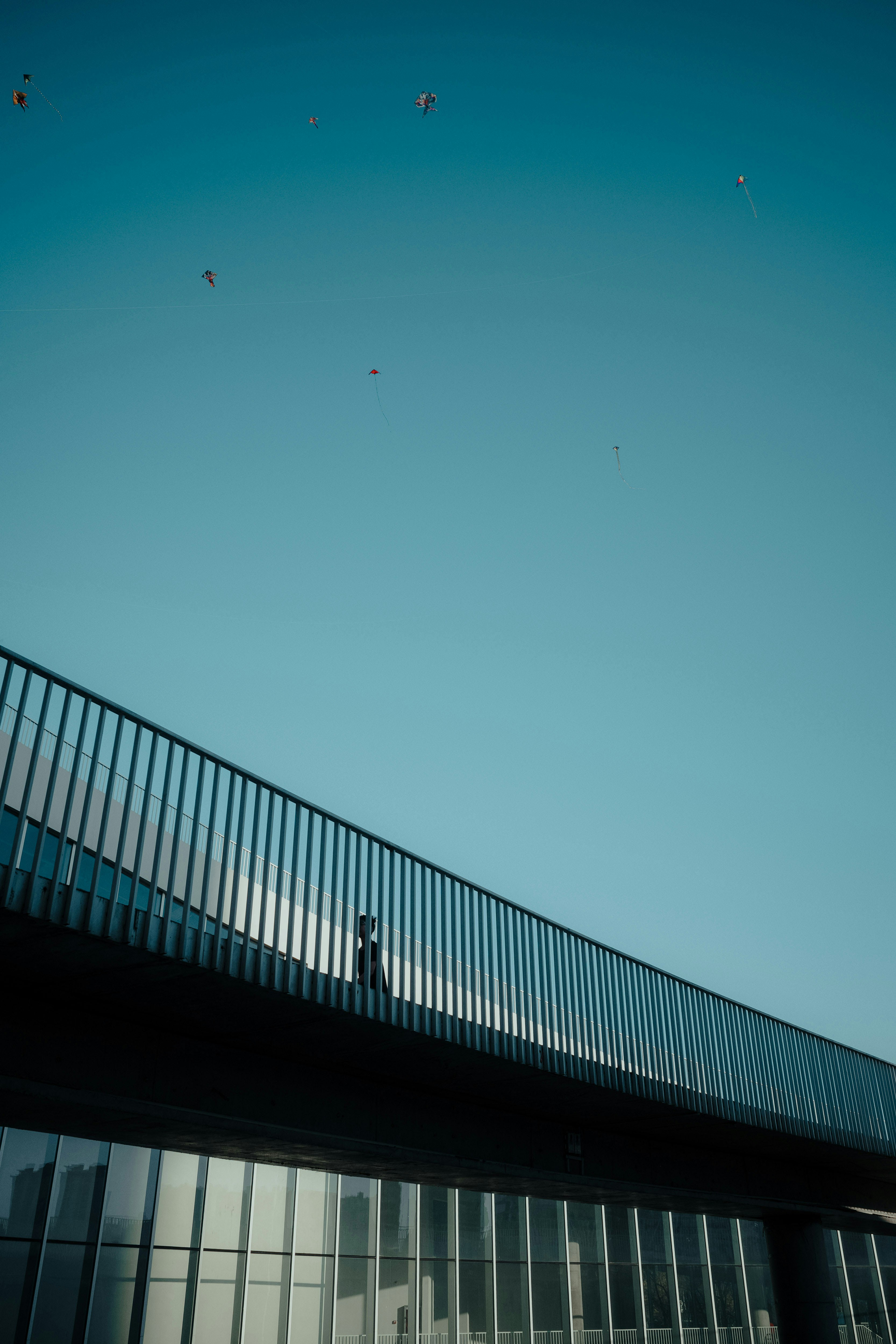Walking Under an Endless Sky