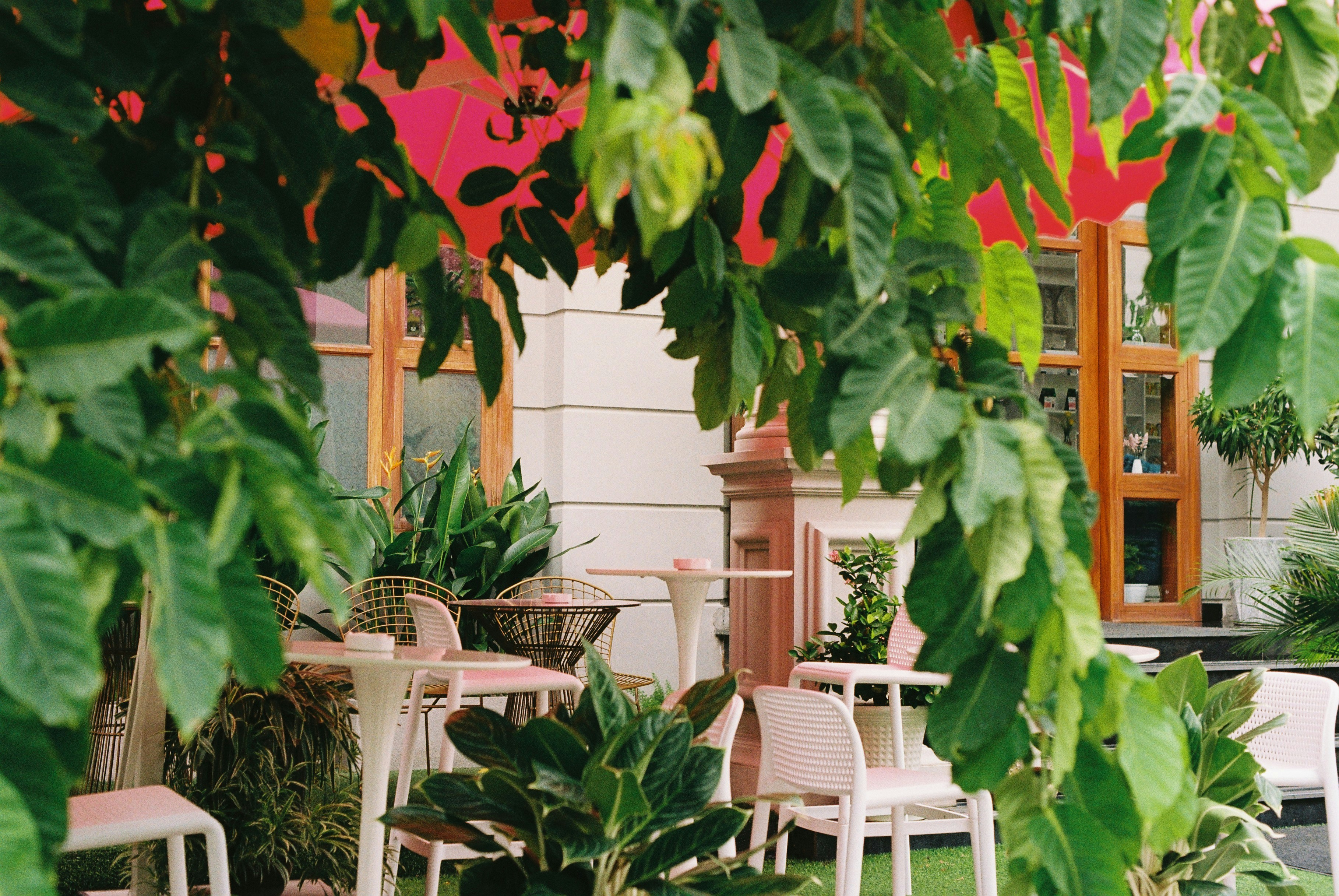 Sunlit Café Oasis Framed by Verdant Canopy