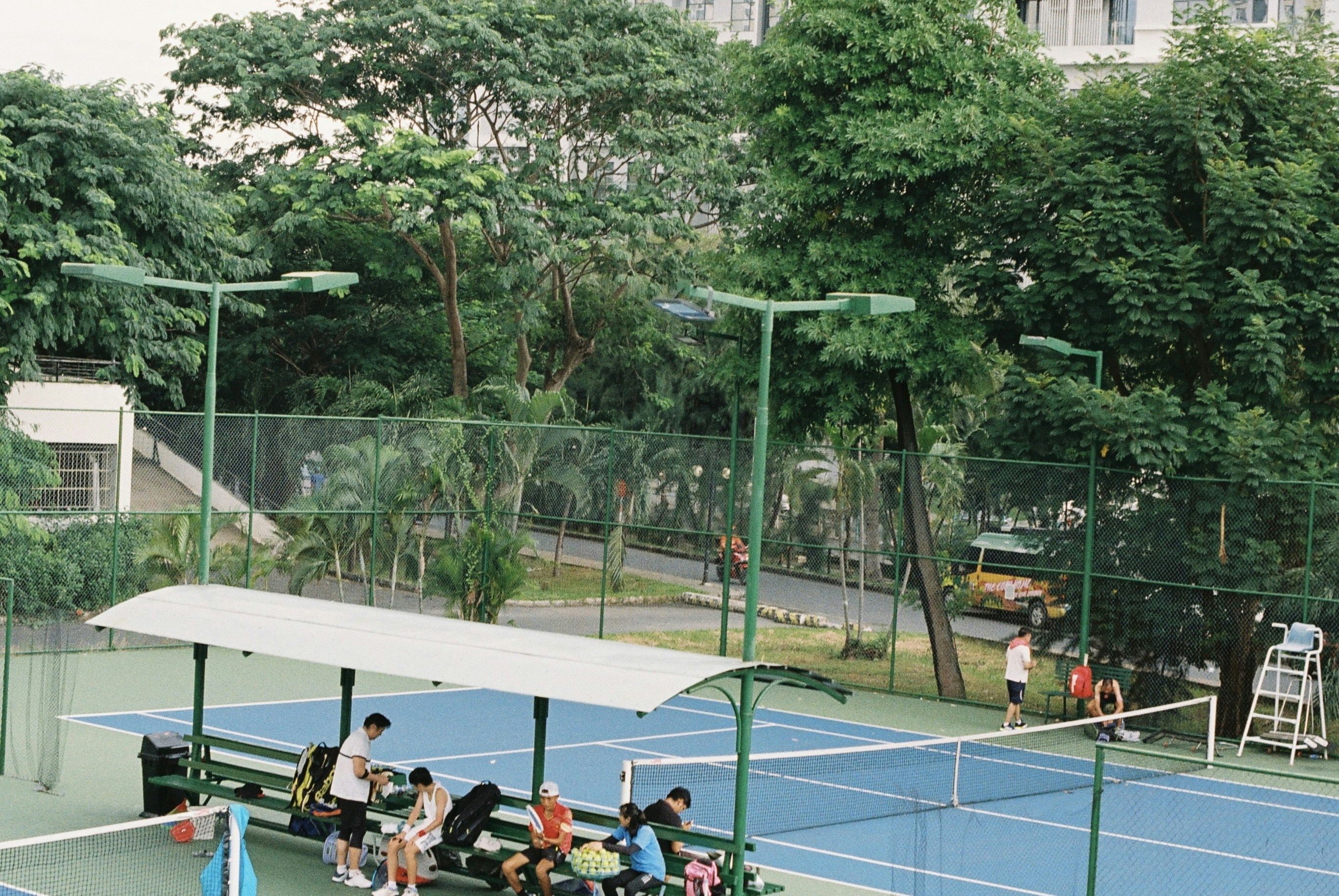 Courtside Conversation Under a Quiet Summer Canopy
