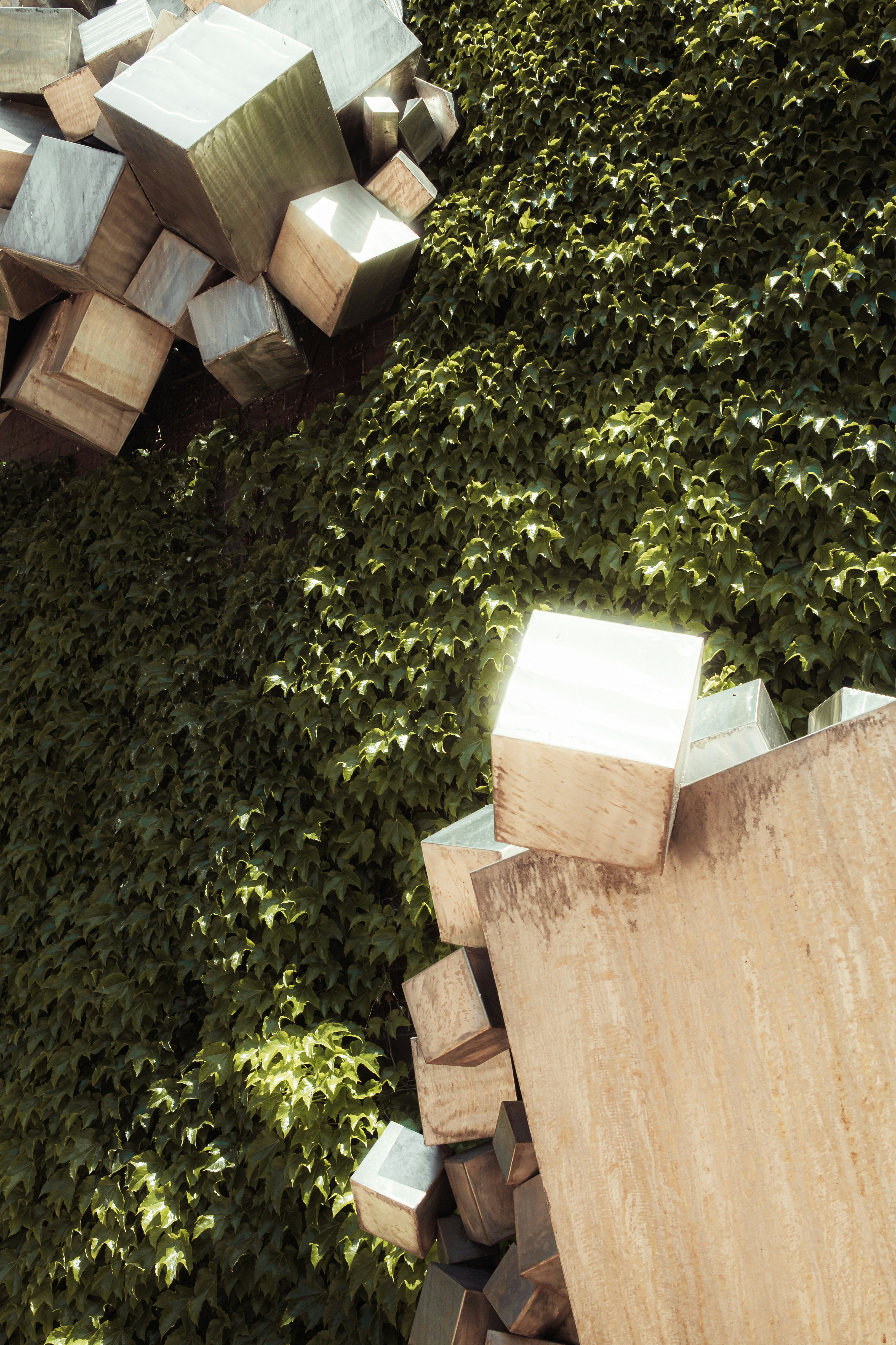 Industrial Geometry: Steel Blocks and Ivy in Dappled Light