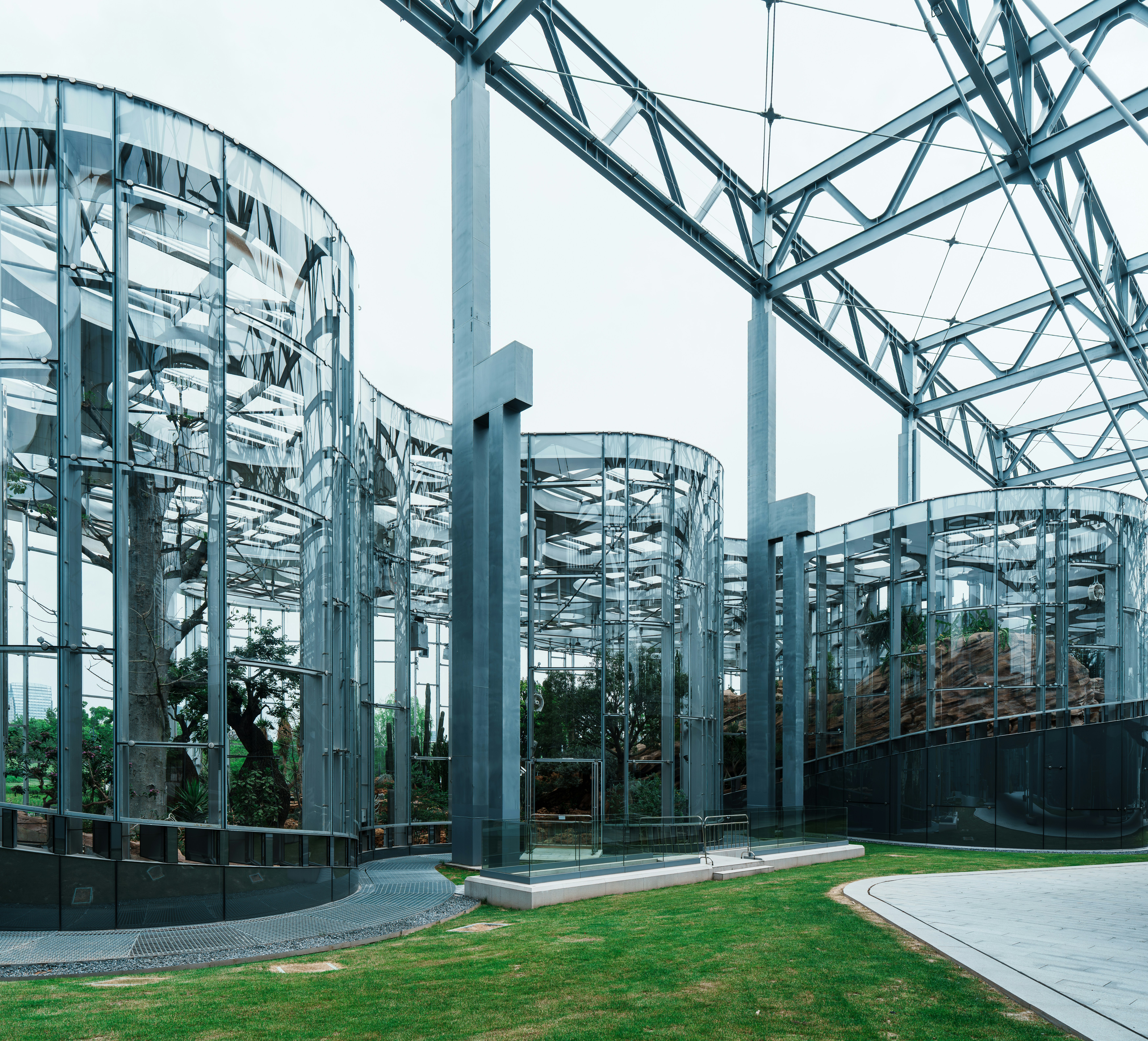 Glass Atrium Twilight: Geometric Curves in Steel and Glass