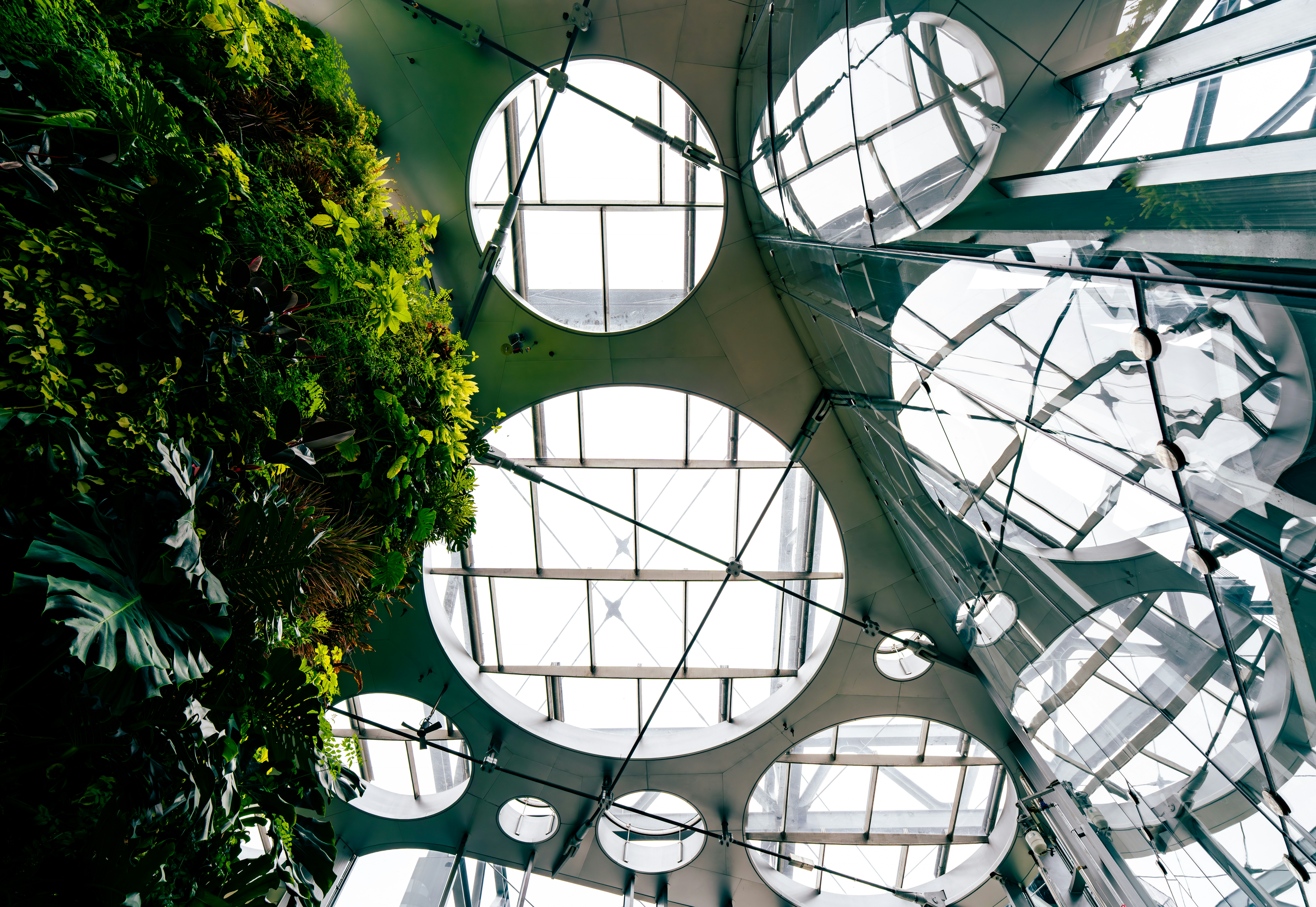 Skylight Garden: Circular Windows and Green Wall in a Modern Atrium