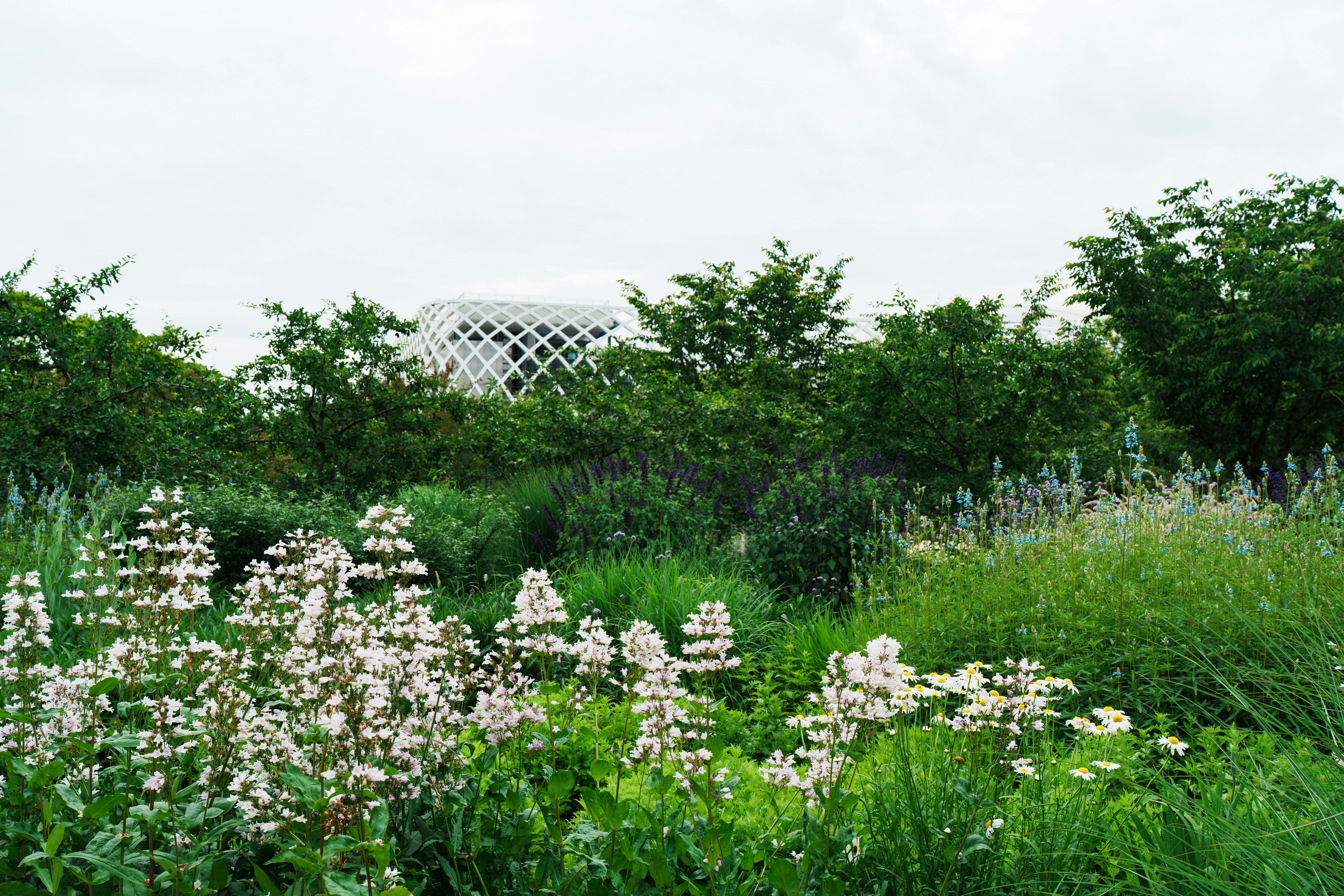 White flower tapestry before a distant glass canopy