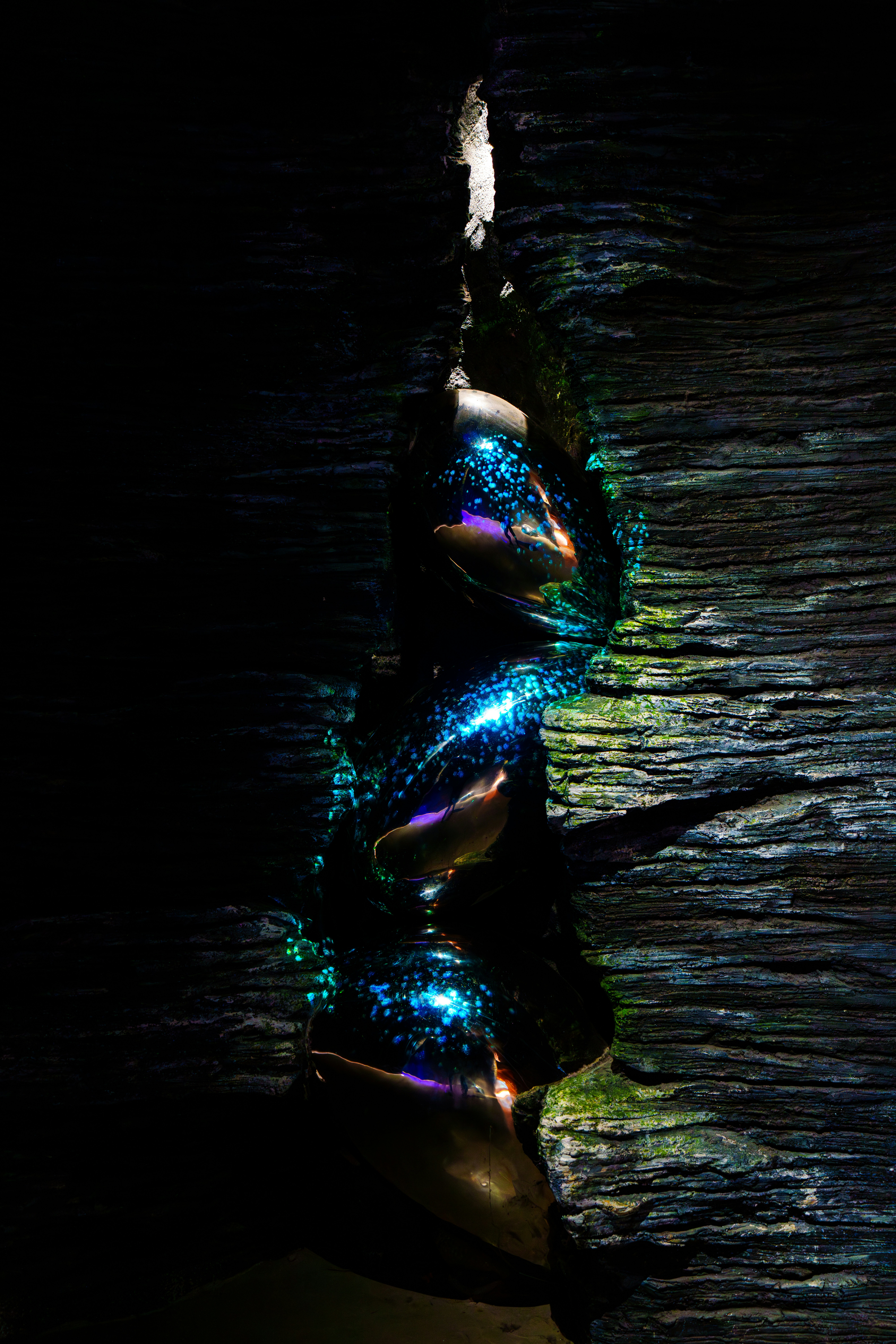 Glowing Shards in the Quiet Bark