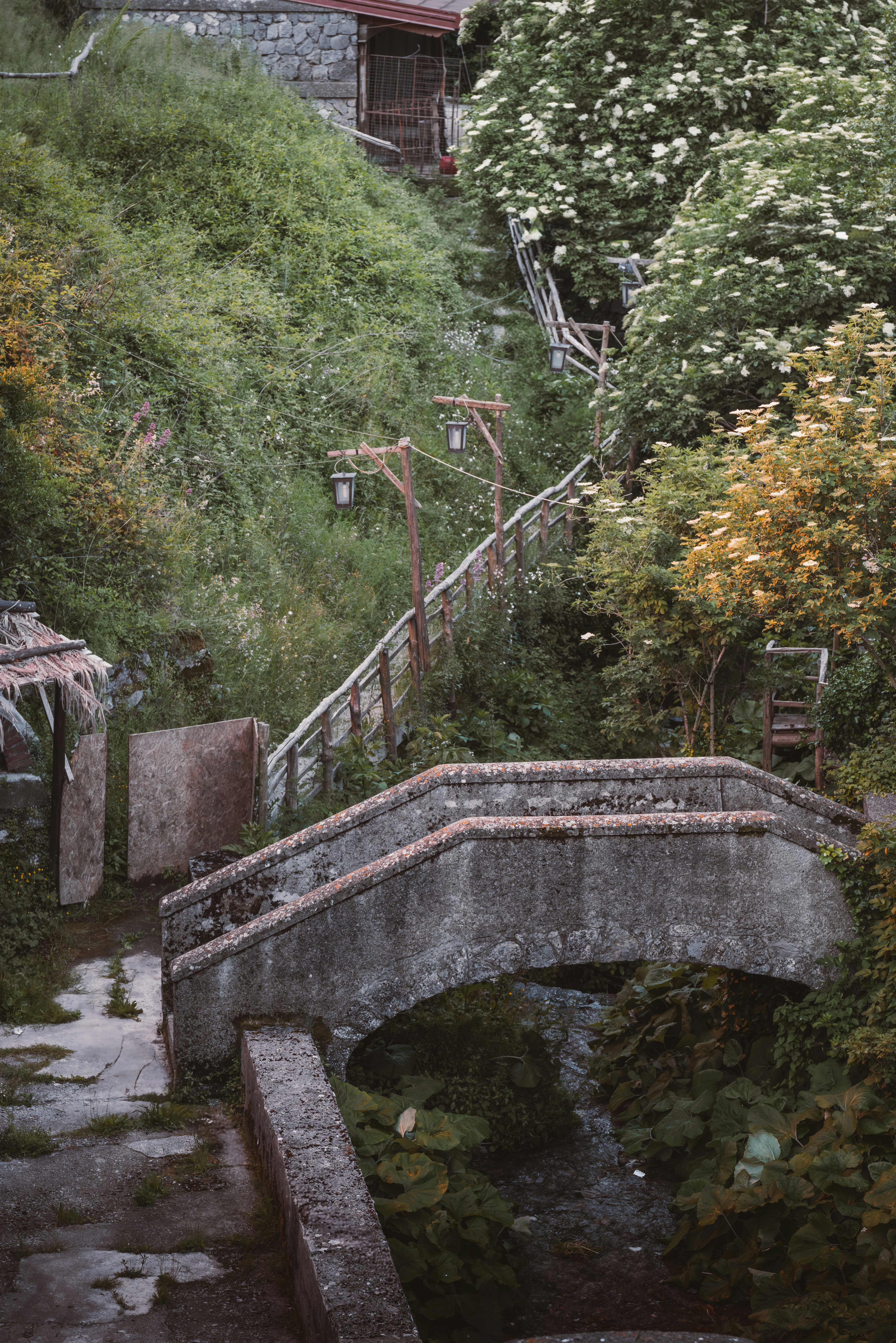 Stone Bridge Amidovergrown Steps
