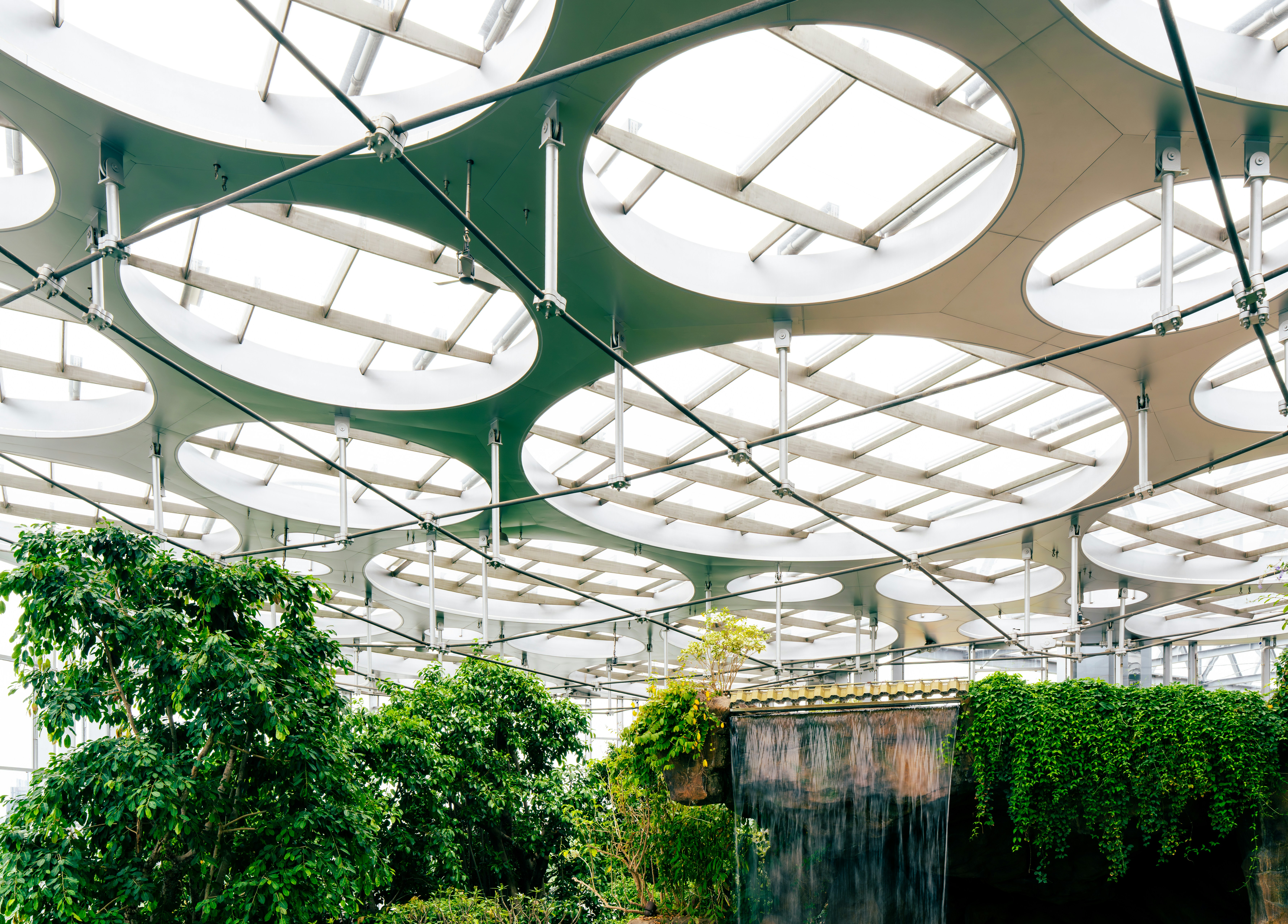 Circular skylights and cascading greenery in an urban greenhouse