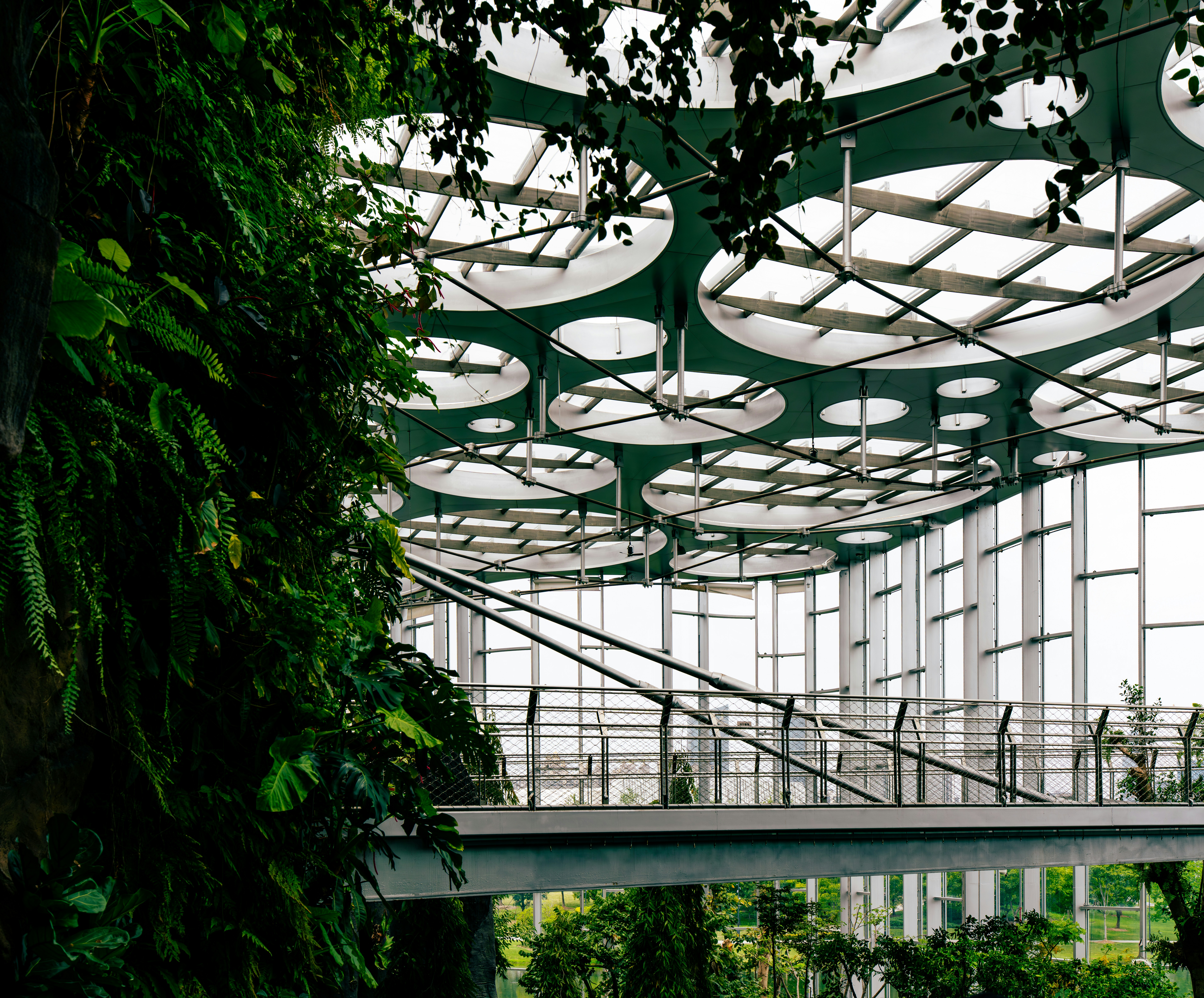 Green Canopy over Glass and Steel: An Indoor Conservatory’s Structural Ballet