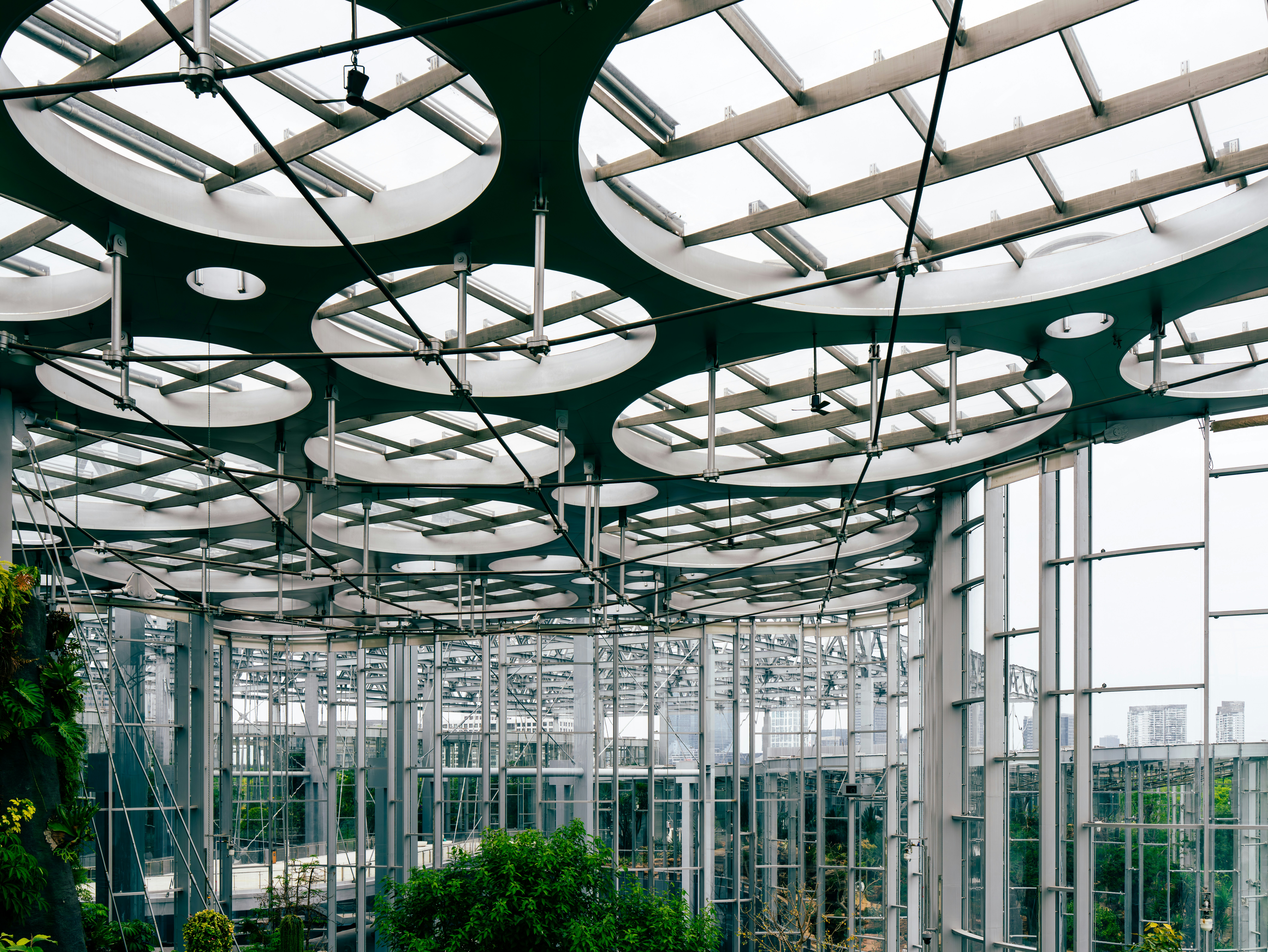 Circular Skylight Lattice over a Glass Atrium