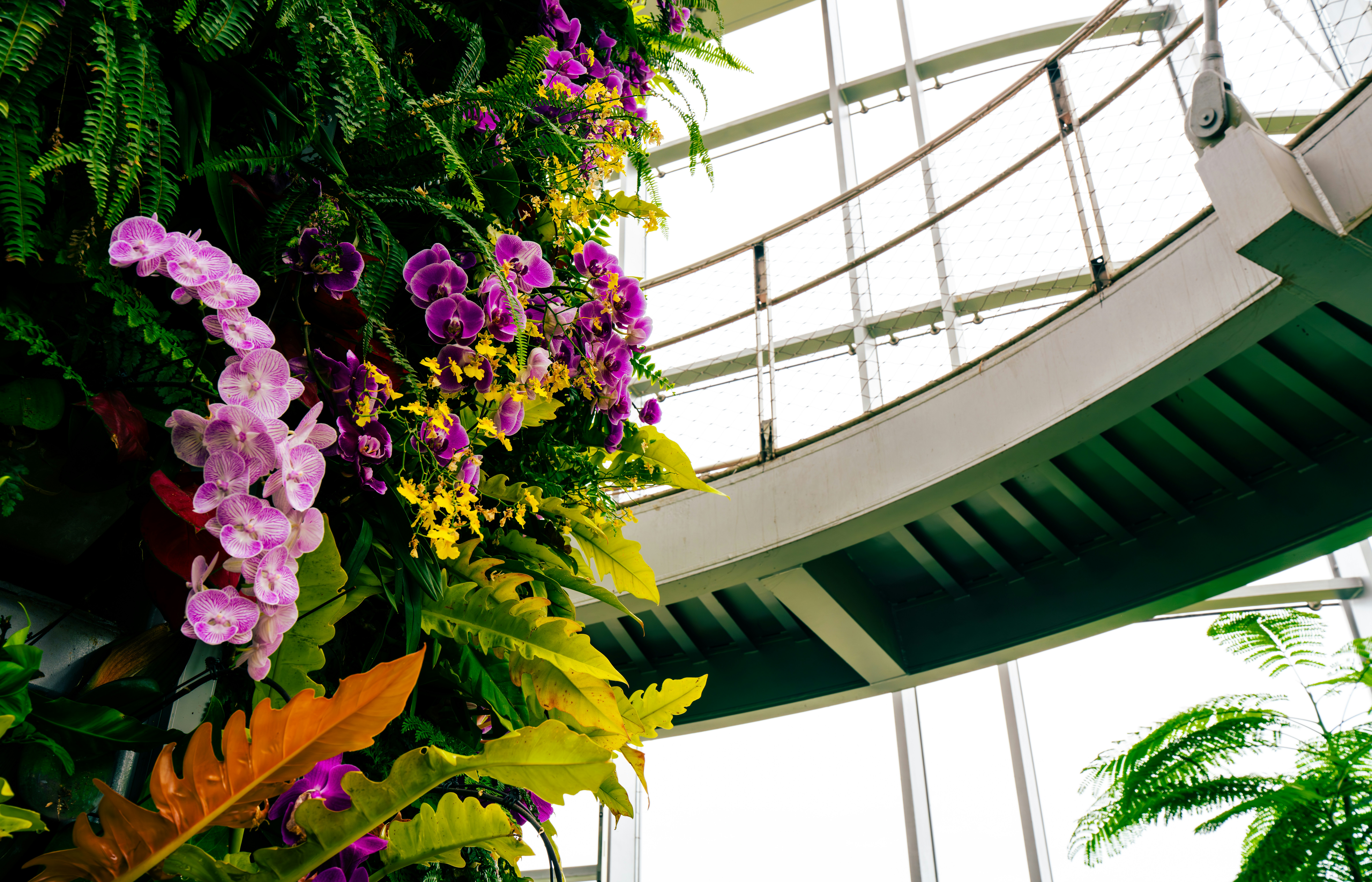 Vertical Bloom in a Glass Conservatory