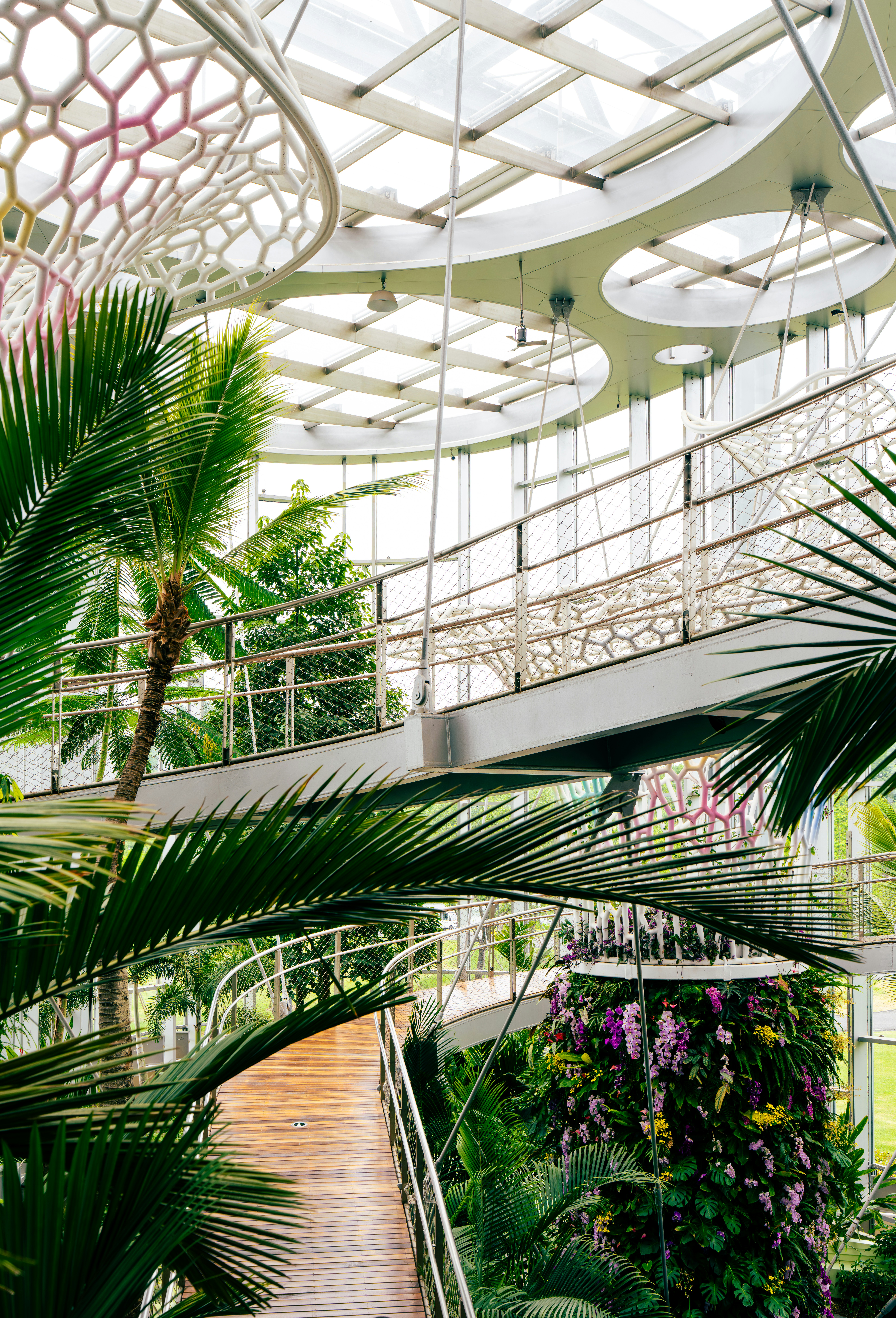 Lush botanical garden with glass ceiling and modern curved walkways.