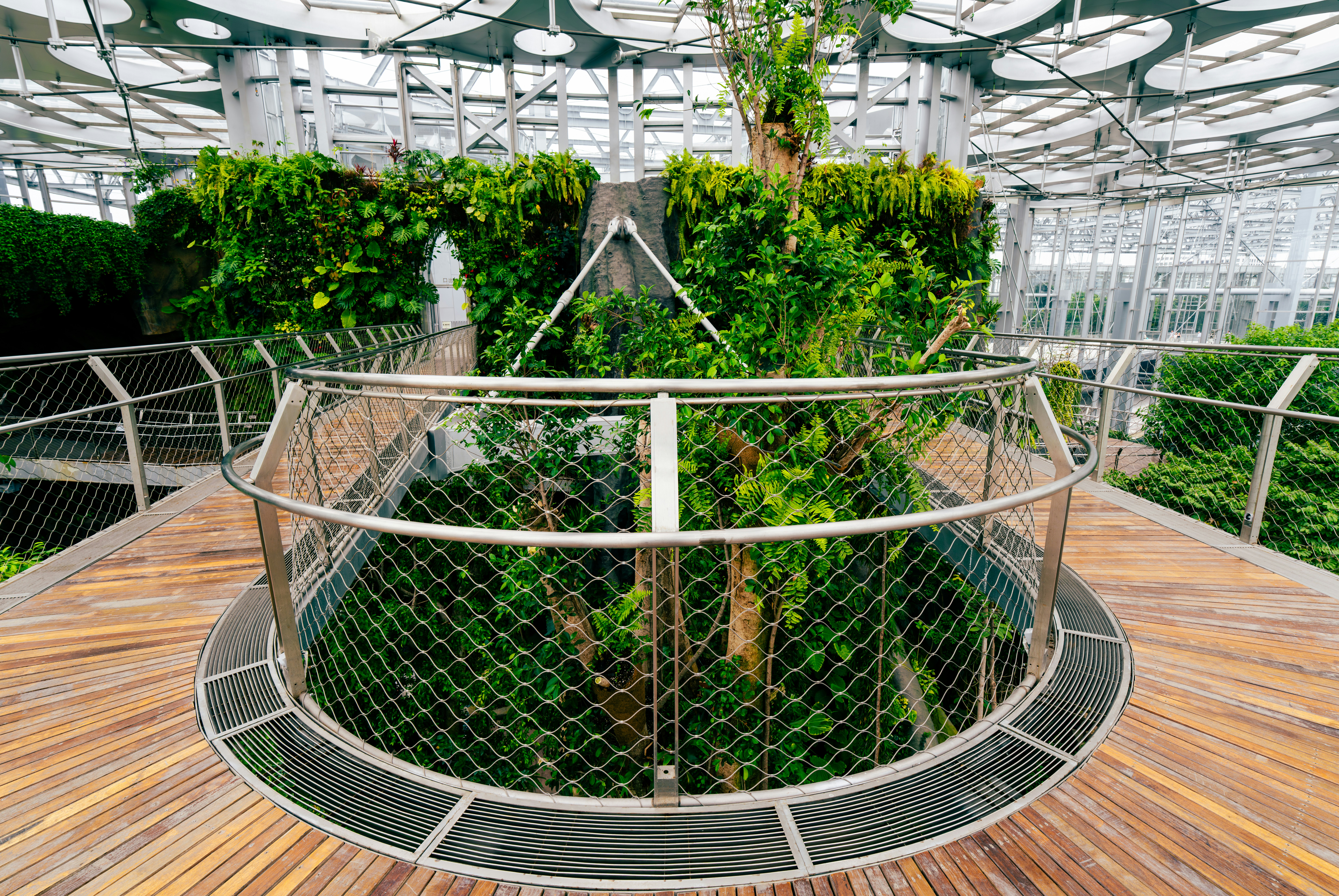 Central Atrium Greenery: A Circular Balcony Encircling Urban Jungle