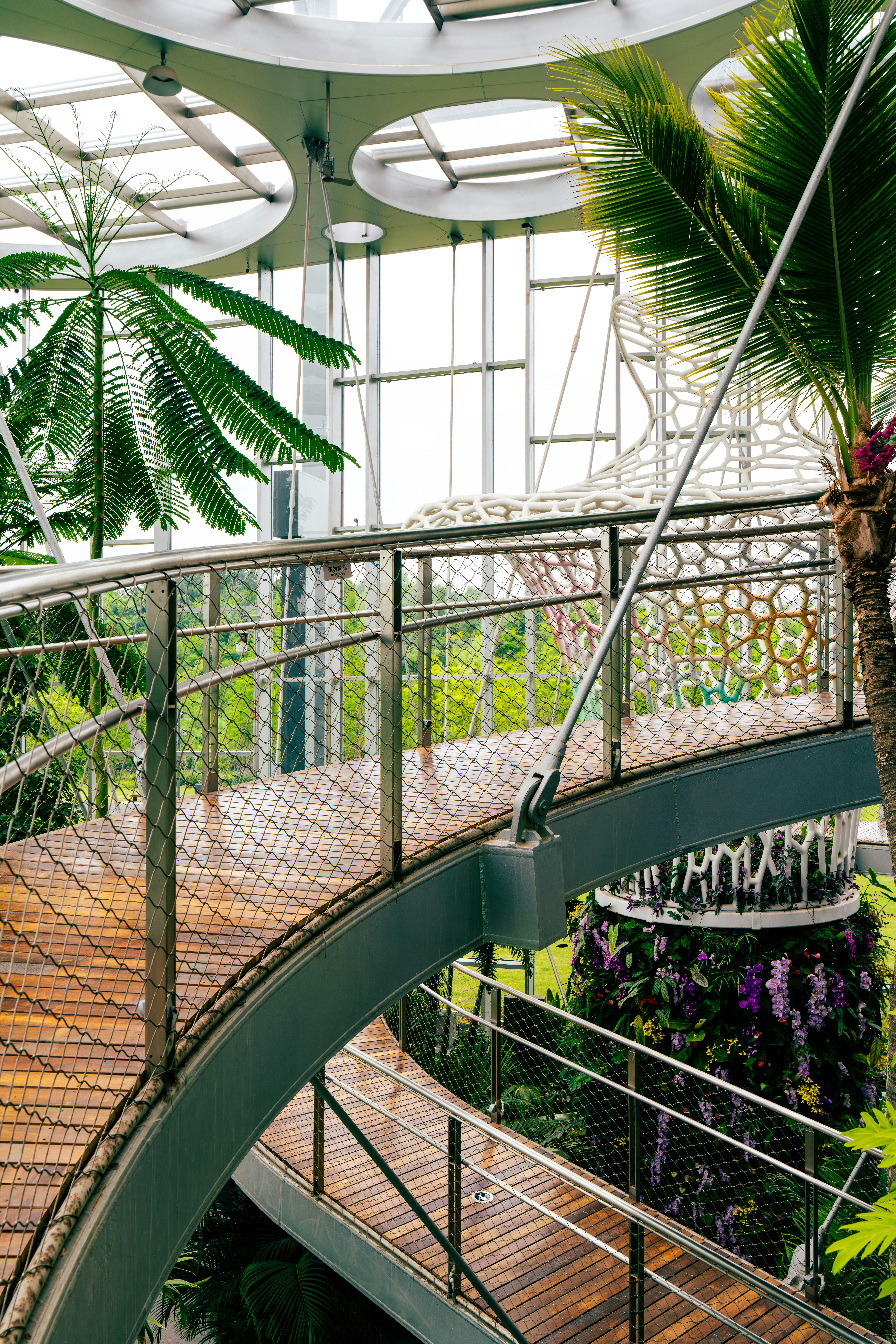 Curved Skywalk among Ferns and Glass: A Vertical Garden Atrium